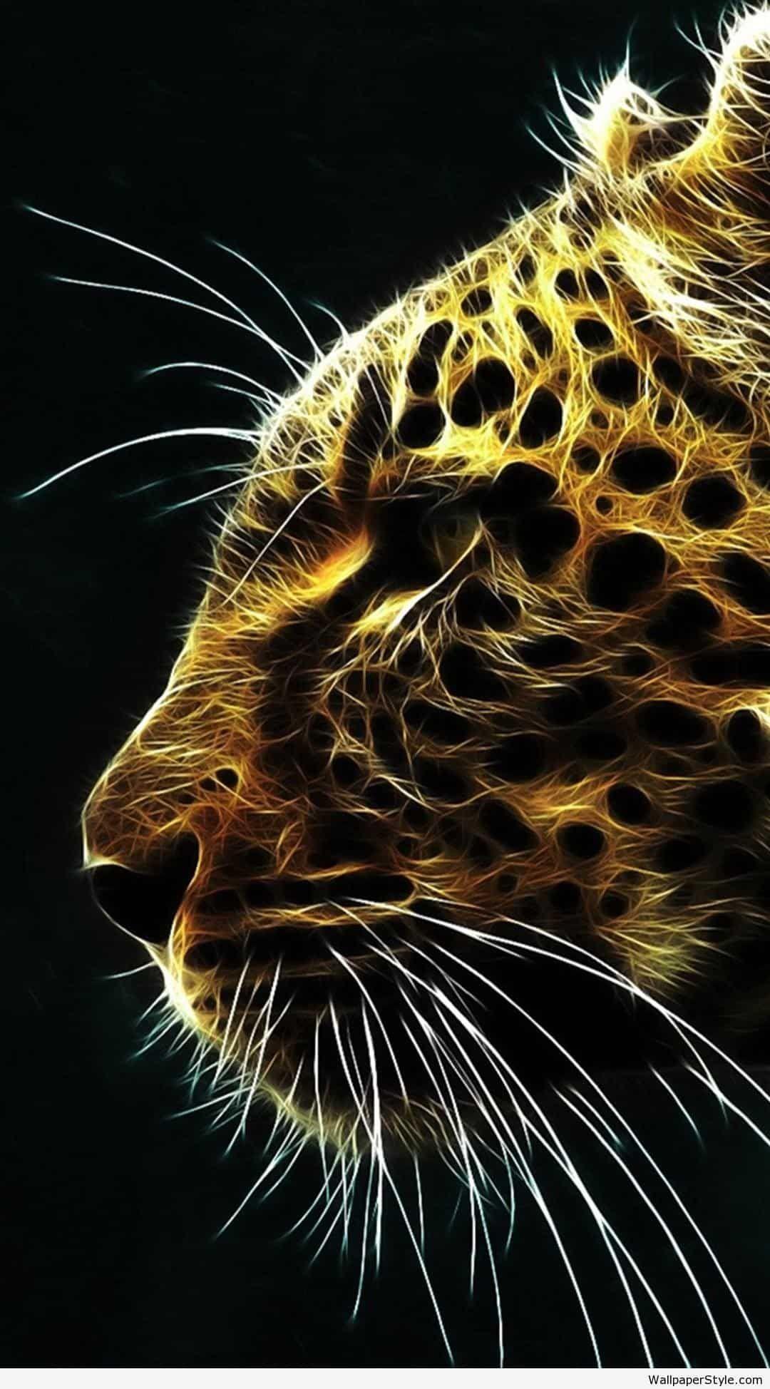 Godcat 4K Wallpapers - Top Free Godcat 4K Backgrounds - WallpaperAccess