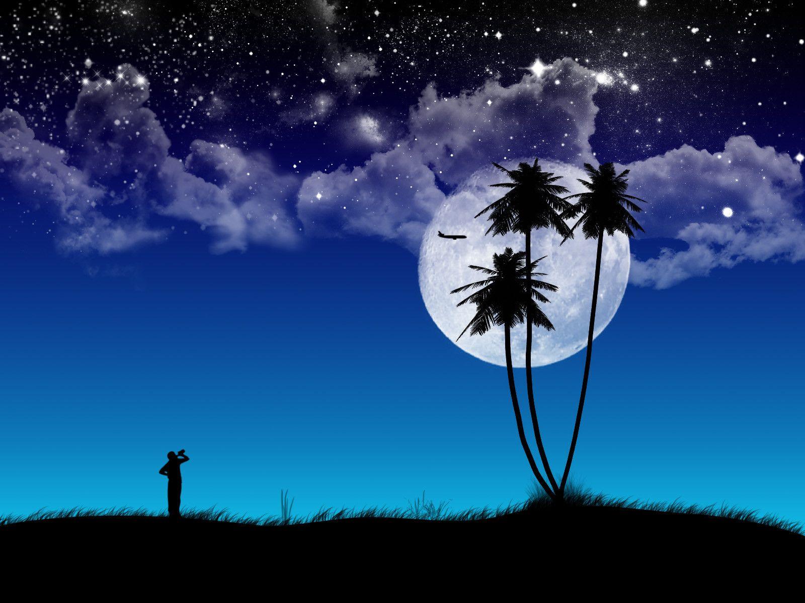 Godcat 4K Wallpapers - Top Free Godcat 4K Backgrounds - WallpaperAccess