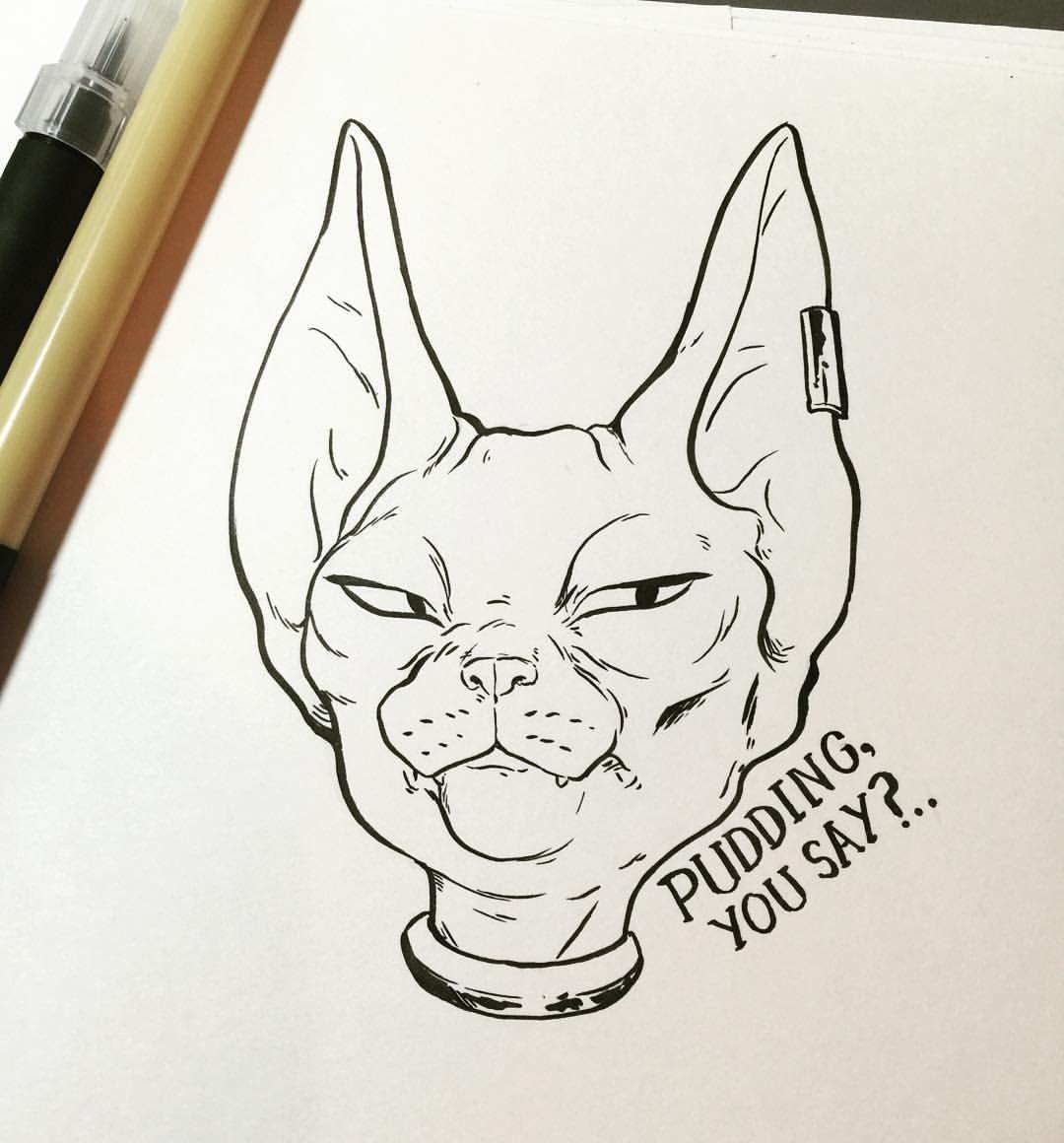 Godcat 4K Wallpapers - Top Free Godcat 4K Backgrounds - WallpaperAccess