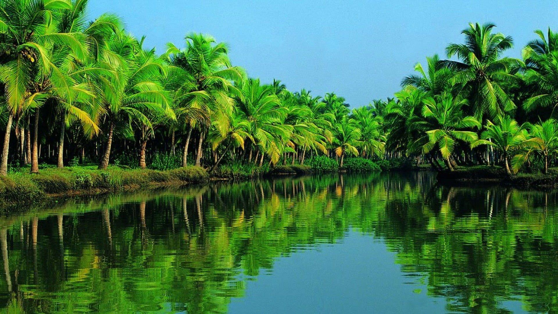 Alappuzha Wallpapers - Top Free Alappuzha Backgrounds - WallpaperAccess