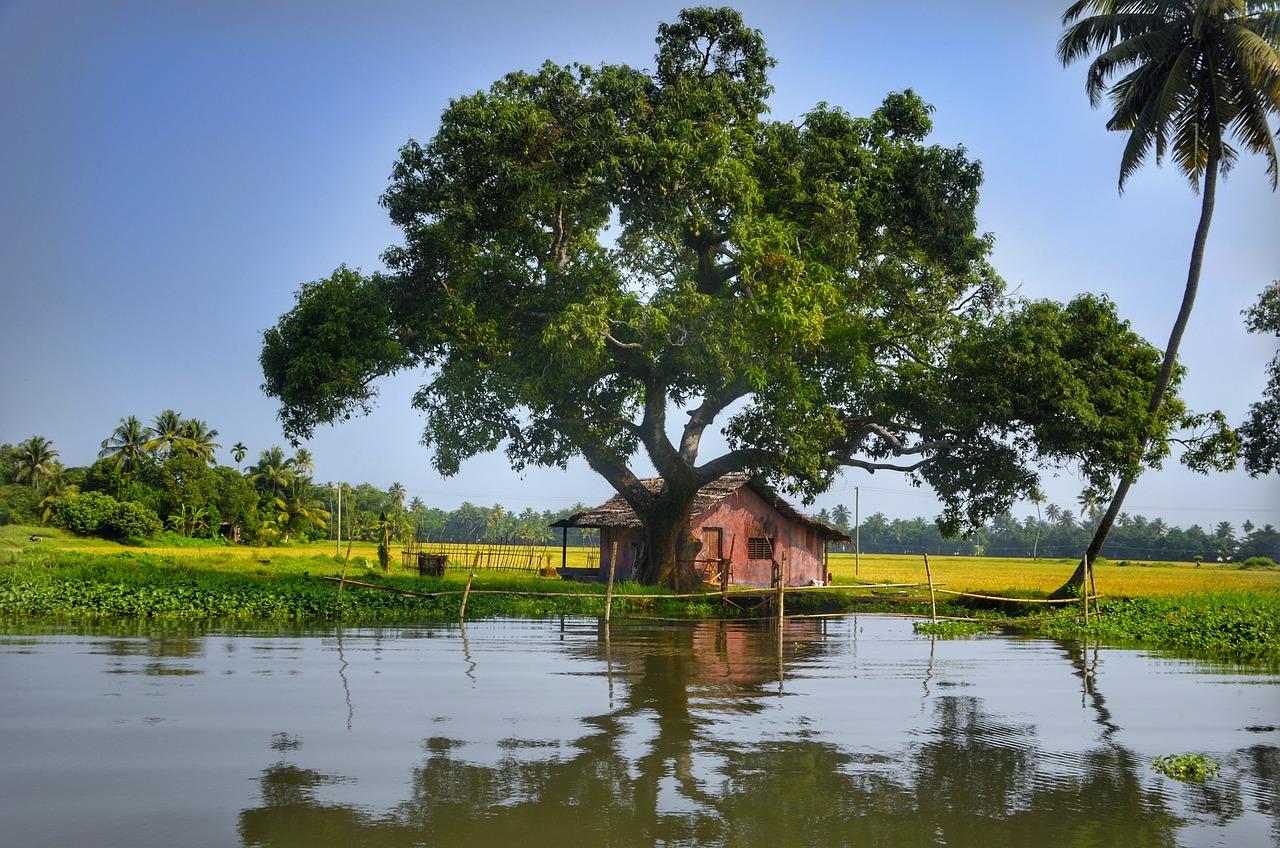 Alappuzha Wallpapers - Top Free Alappuzha Backgrounds - WallpaperAccess