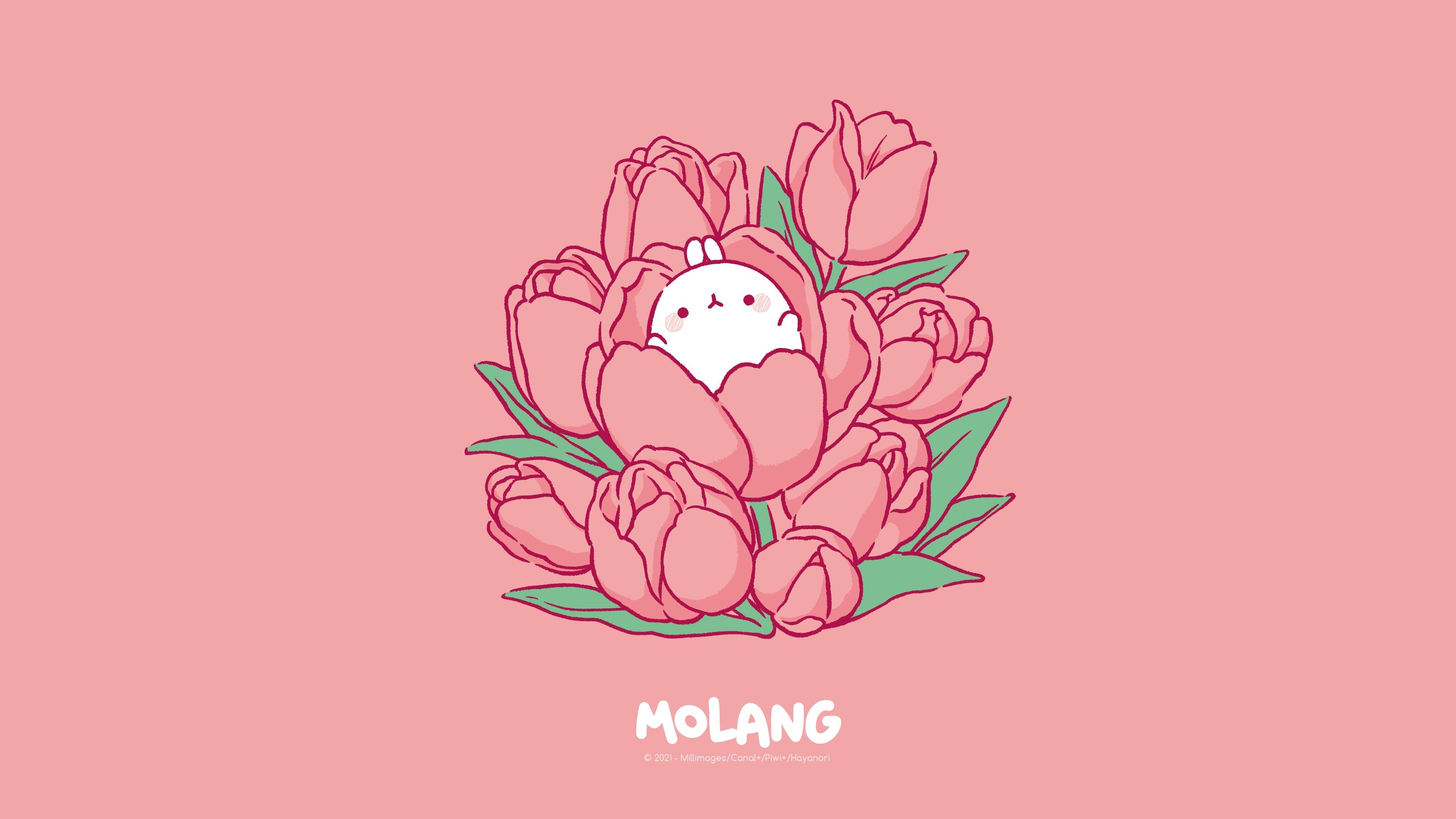 Molang Desktop Wallpapers - Top Free Molang Desktop Backgrounds ...