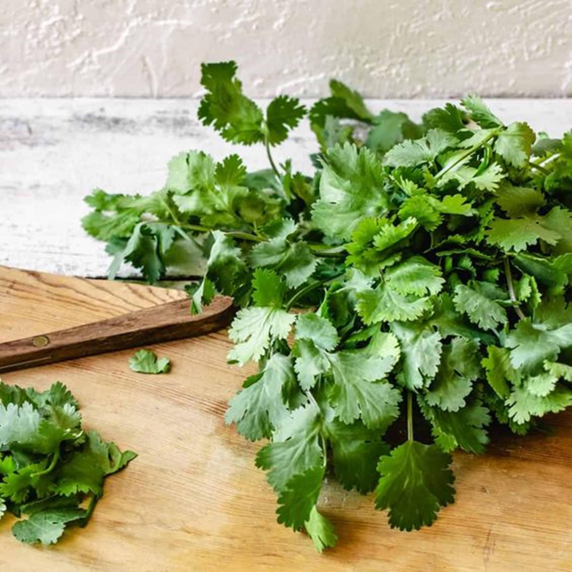 Coriander Wallpapers - Top Free Coriander Backgrounds - WallpaperAccess