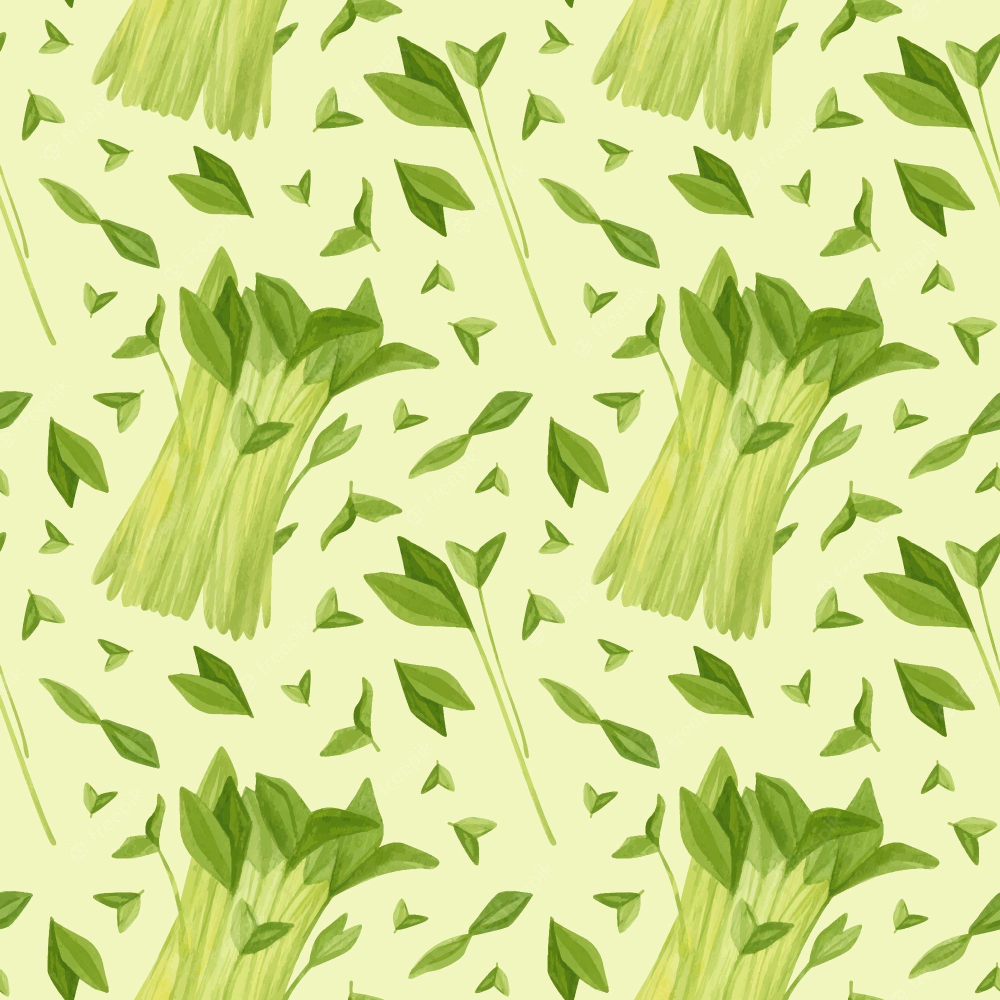 Coriander Wallpapers - Top Free Coriander Backgrounds - WallpaperAccess