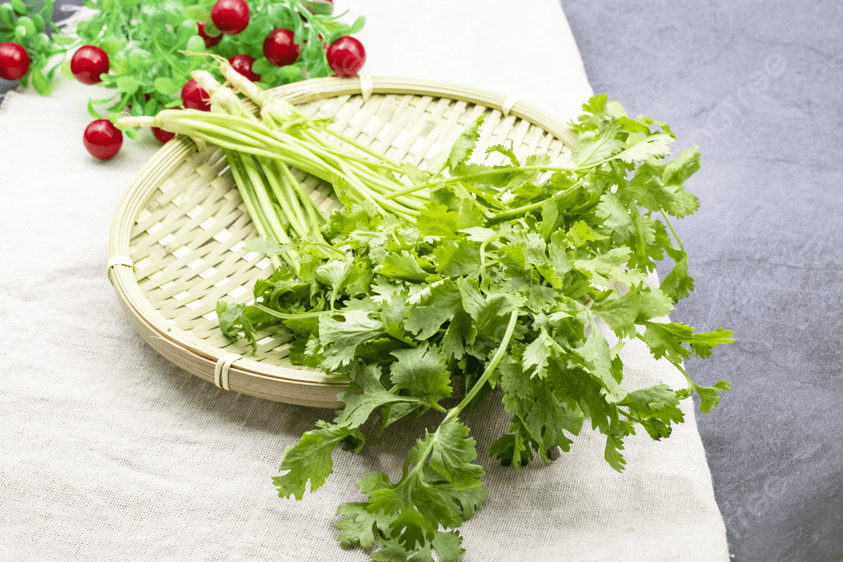 Coriander Wallpapers - Top Free Coriander Backgrounds - WallpaperAccess