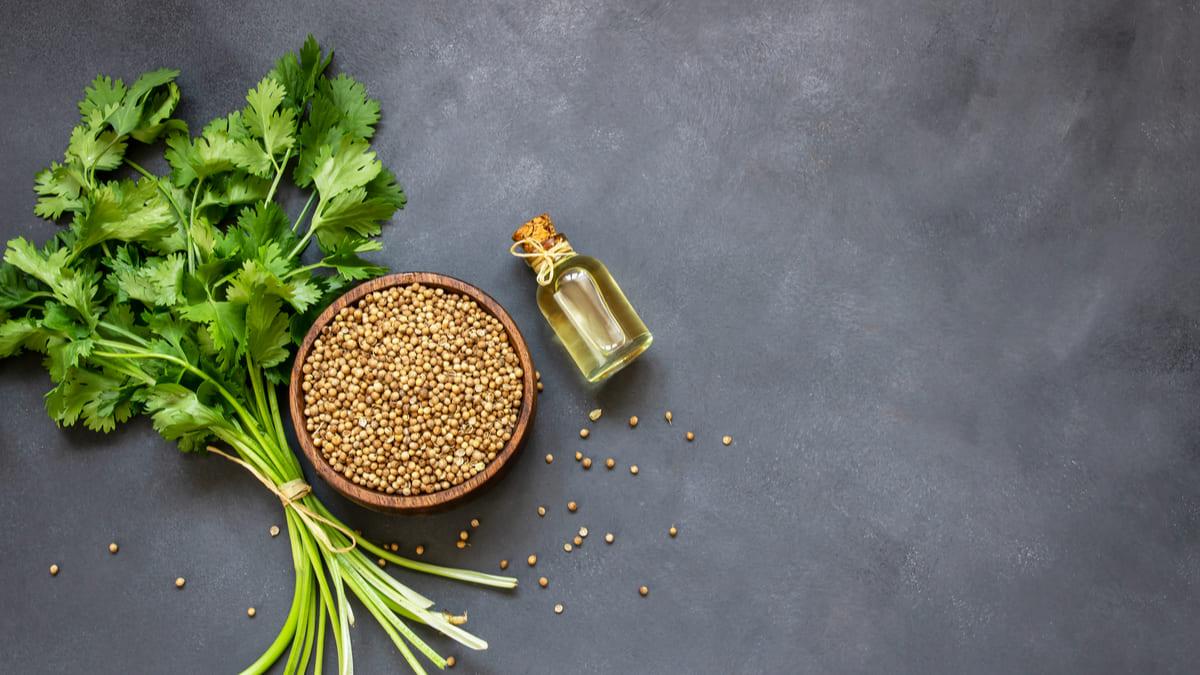 Coriander Wallpapers - Top Free Coriander Backgrounds - WallpaperAccess