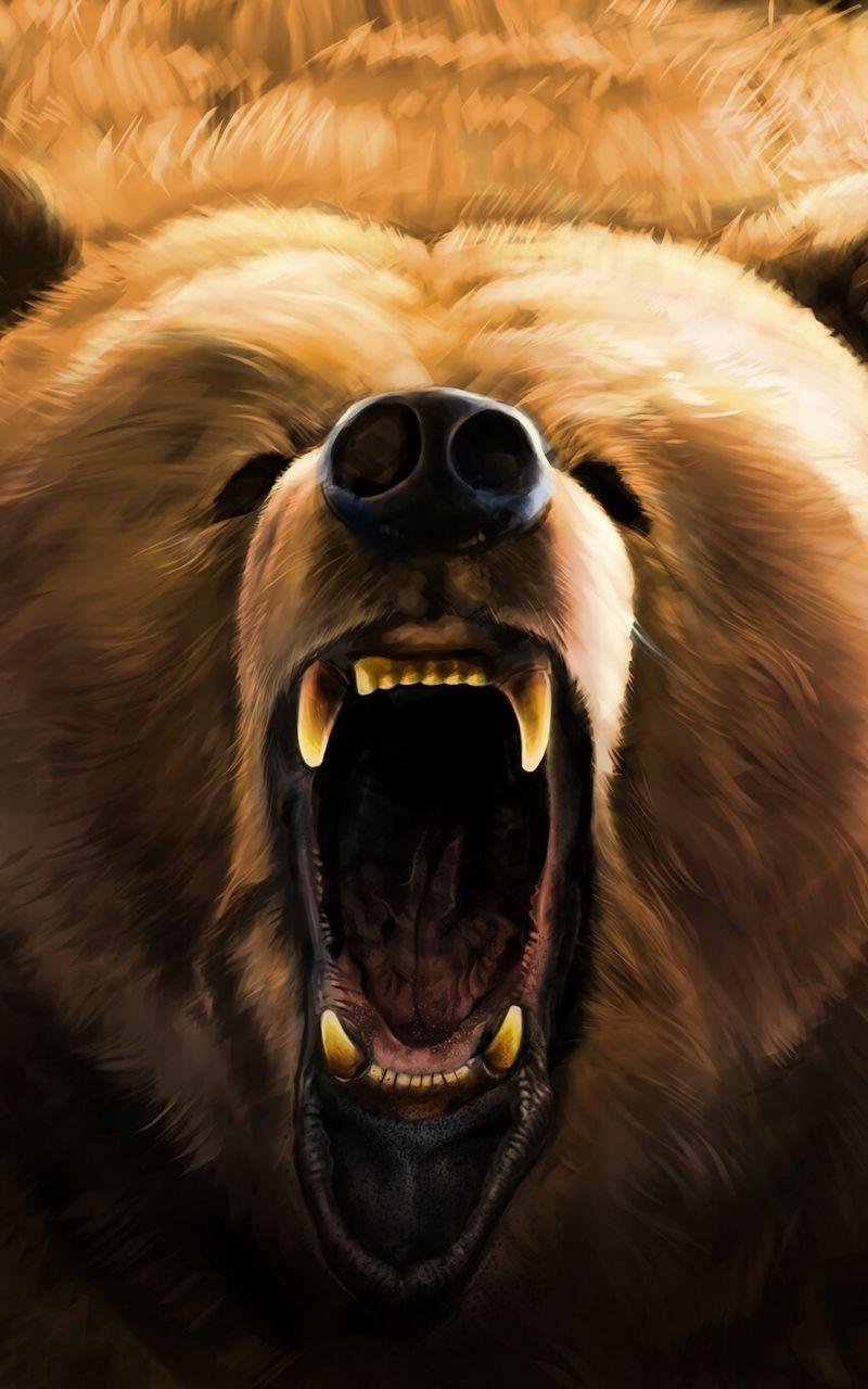 Angry Bear Wallpapers - Top Free Angry Bear Backgrounds - WallpaperAccess