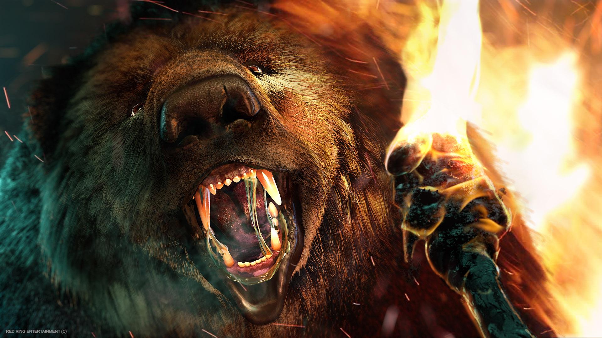 Angry Bear Wallpapers - Top Free Angry Bear Backgrounds - WallpaperAccess