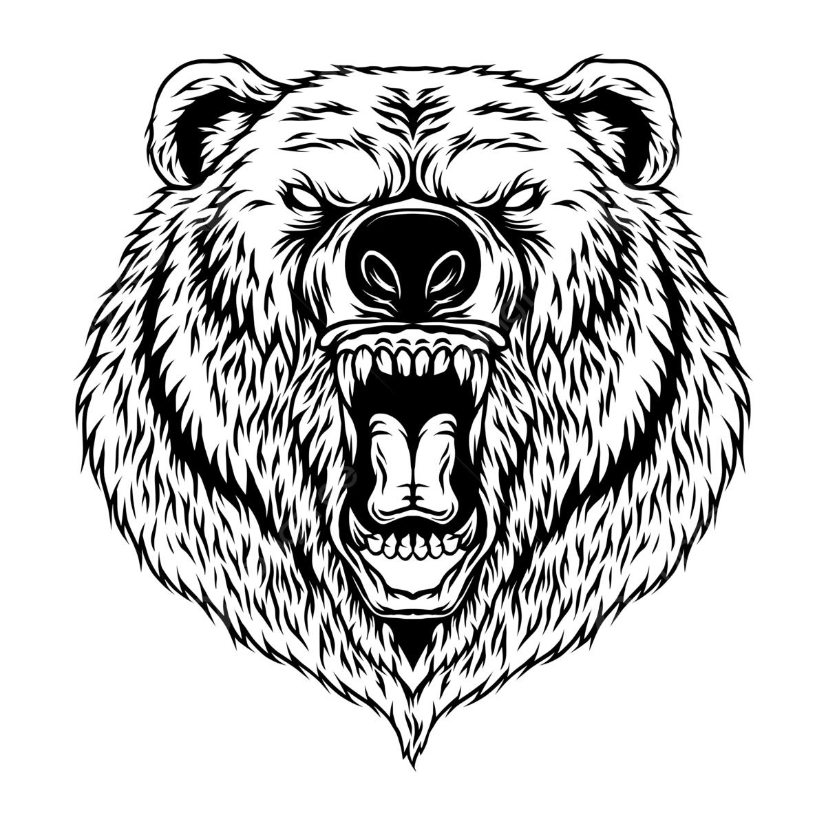 Angry Bear Wallpapers - Top Free Angry Bear Backgrounds - WallpaperAccess