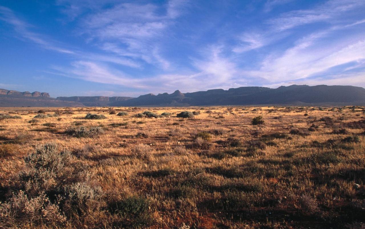 Karoo Wallpapers - Top Free Karoo Backgrounds - WallpaperAccess