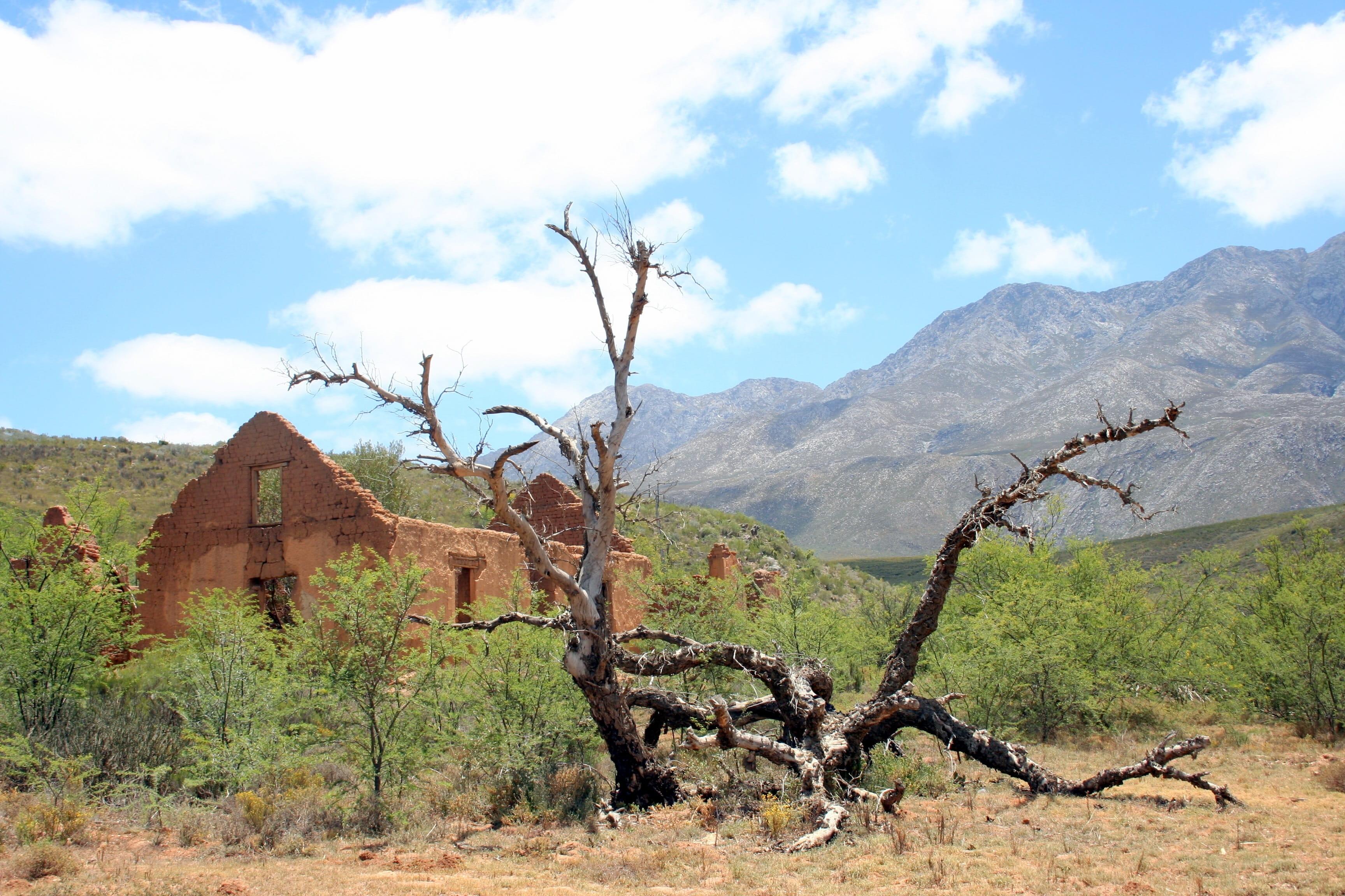 Karoo Wallpapers - Top Free Karoo Backgrounds - WallpaperAccess