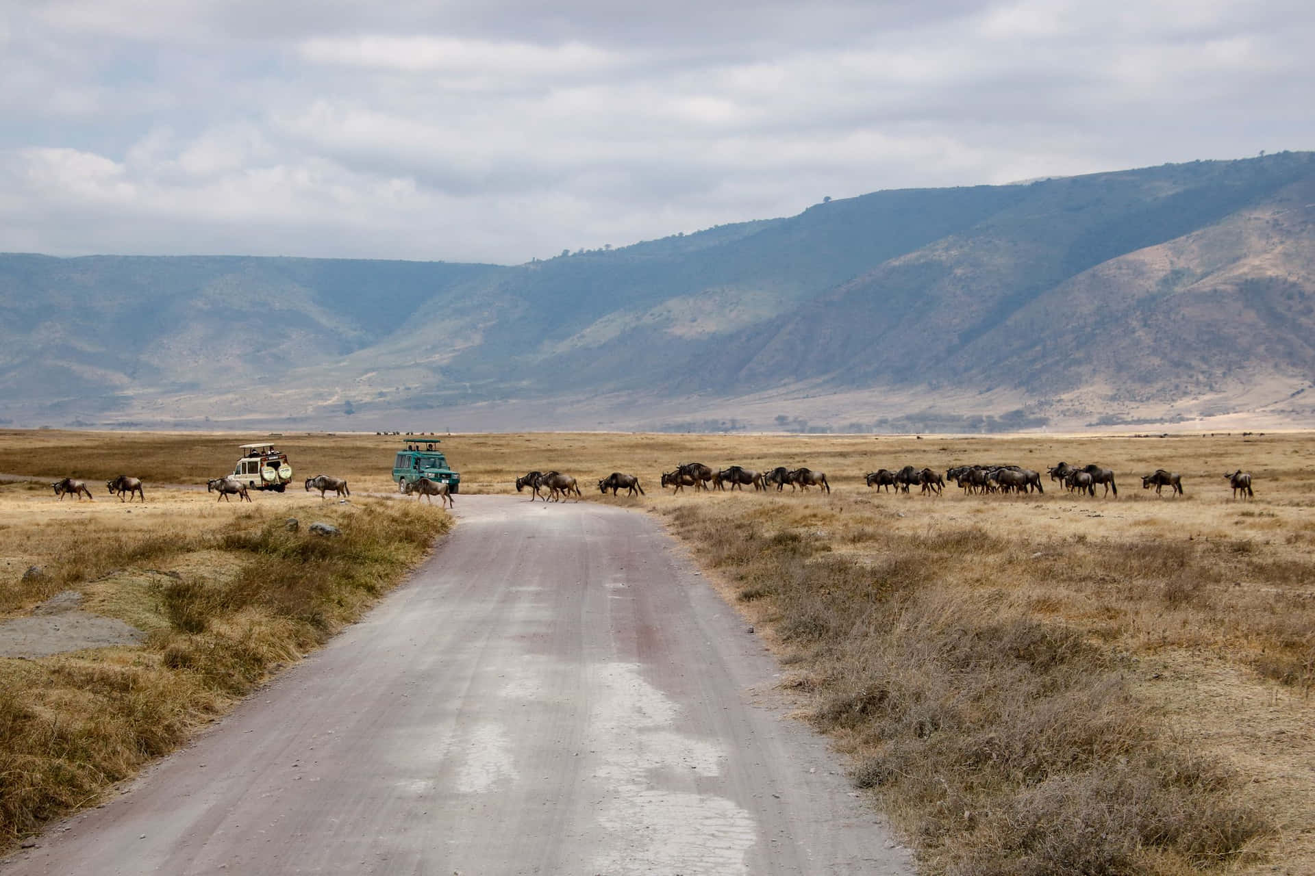 Karoo Wallpapers - Top Free Karoo Backgrounds - WallpaperAccess