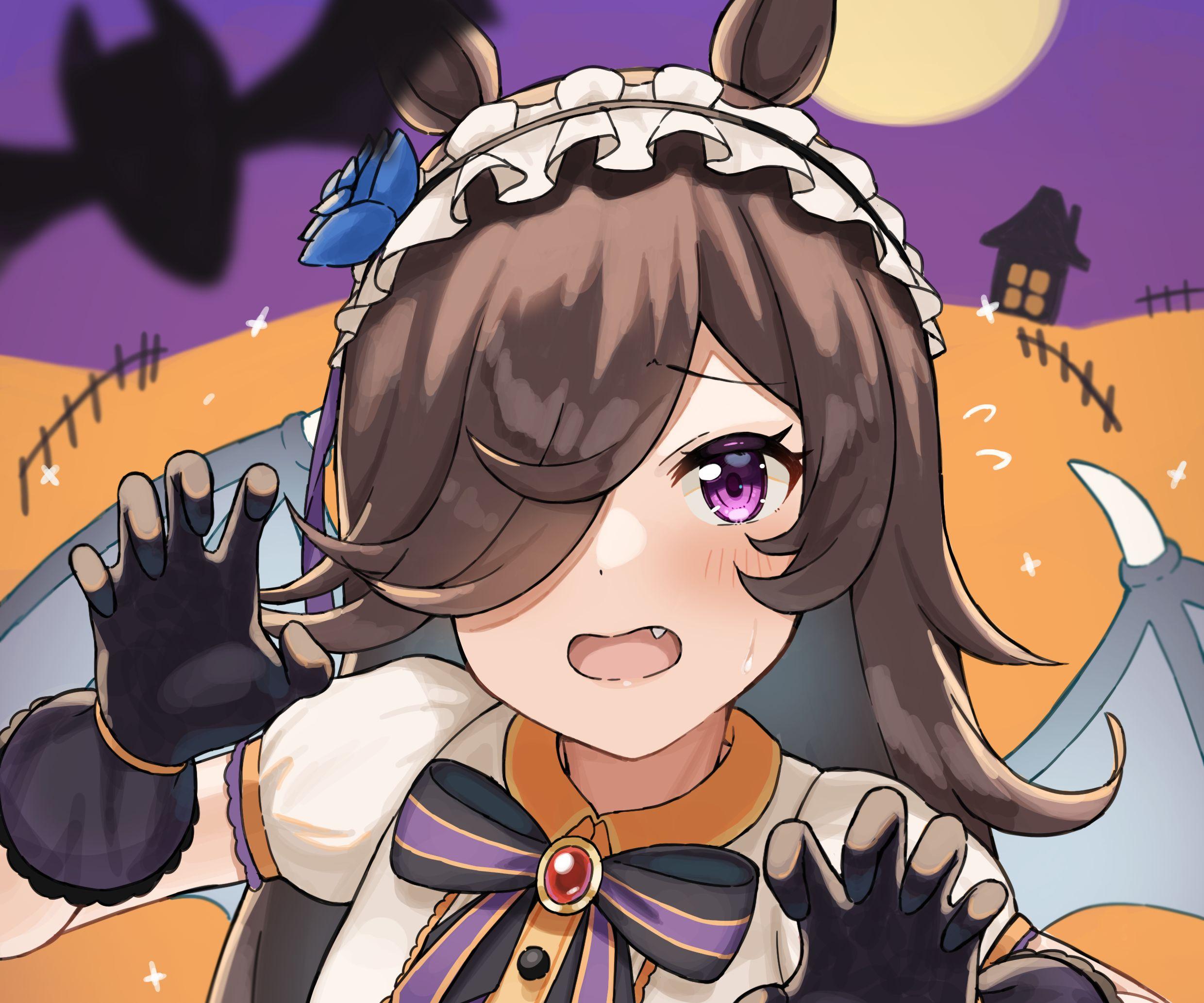 Pretty Derby Wallpapers - Top Free Pretty Derby Backgrounds ...