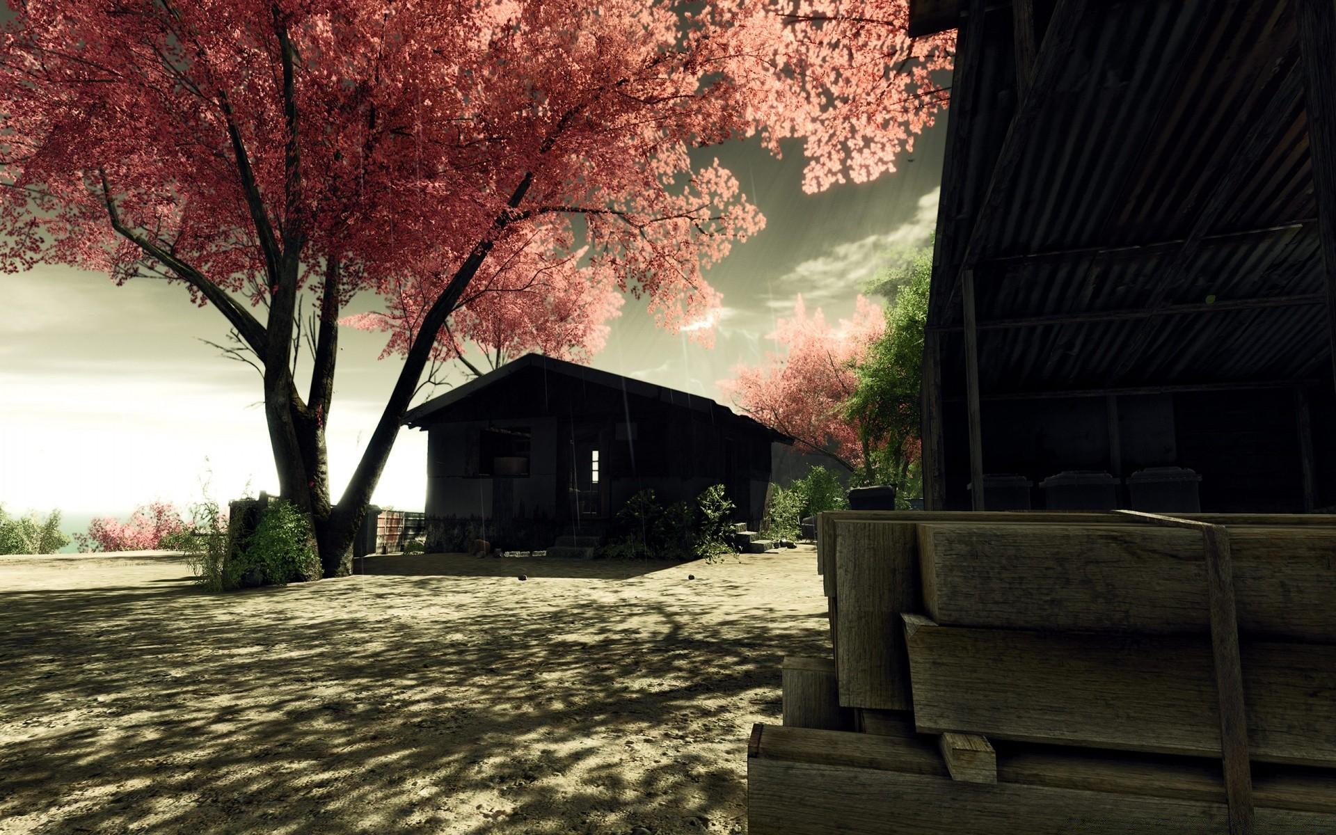 Small Tree Wallpapers - Top Free Small Tree Backgrounds - WallpaperAccess