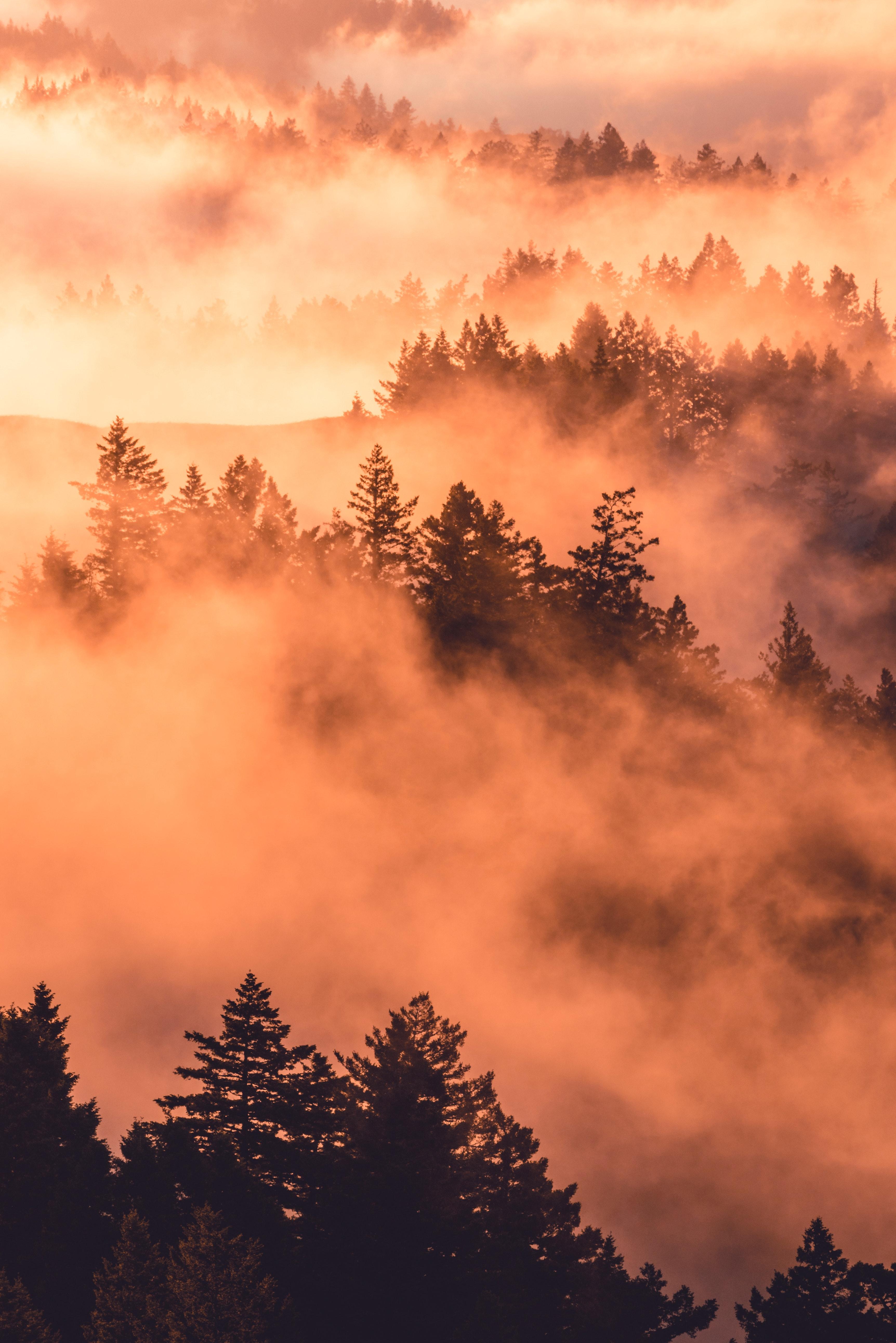 Nature 8k Phone Wallpapers - Top Free Nature 8k Phone Backgrounds ...