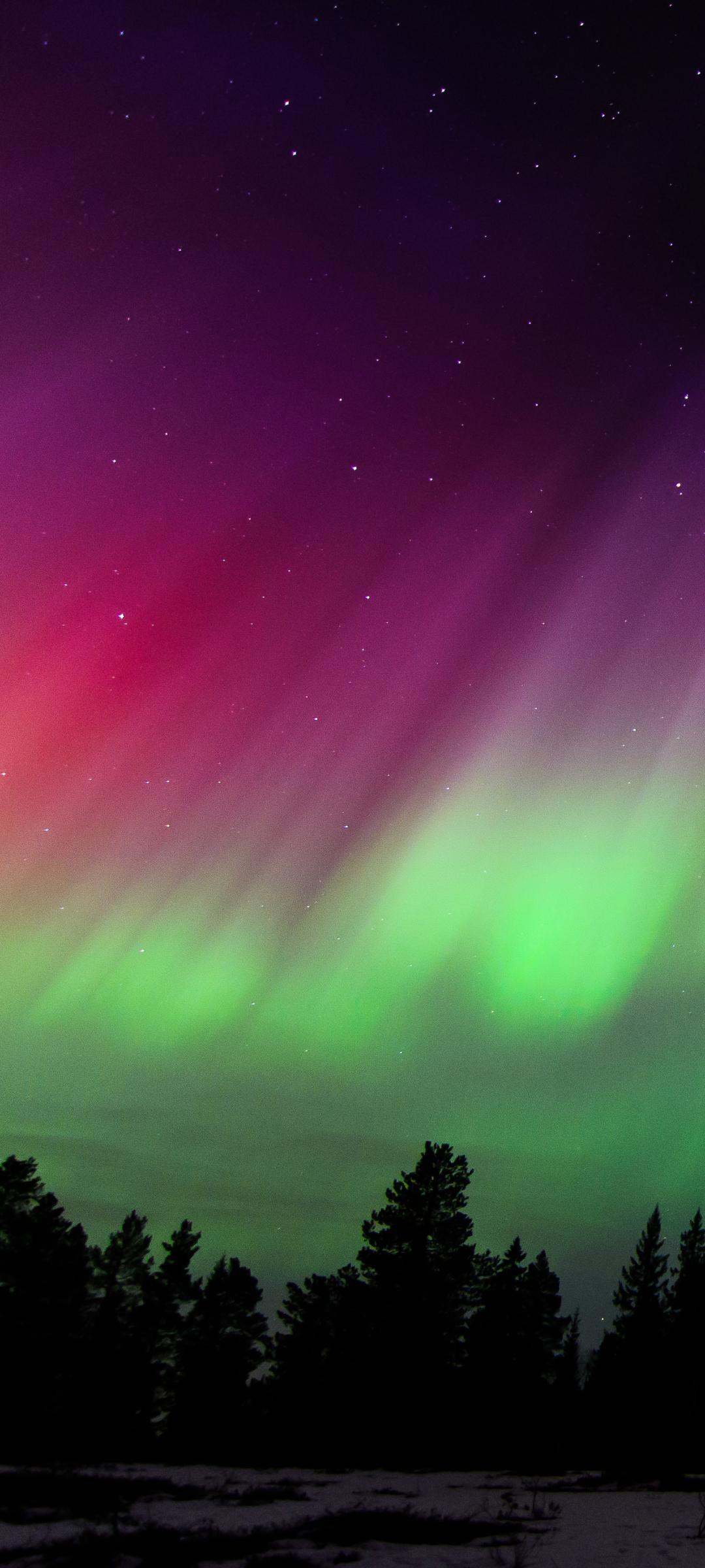 Purple Aurora Borealis Wallpapers - Top Free Purple Aurora Borealis Backgrounds - WallpaperAccess