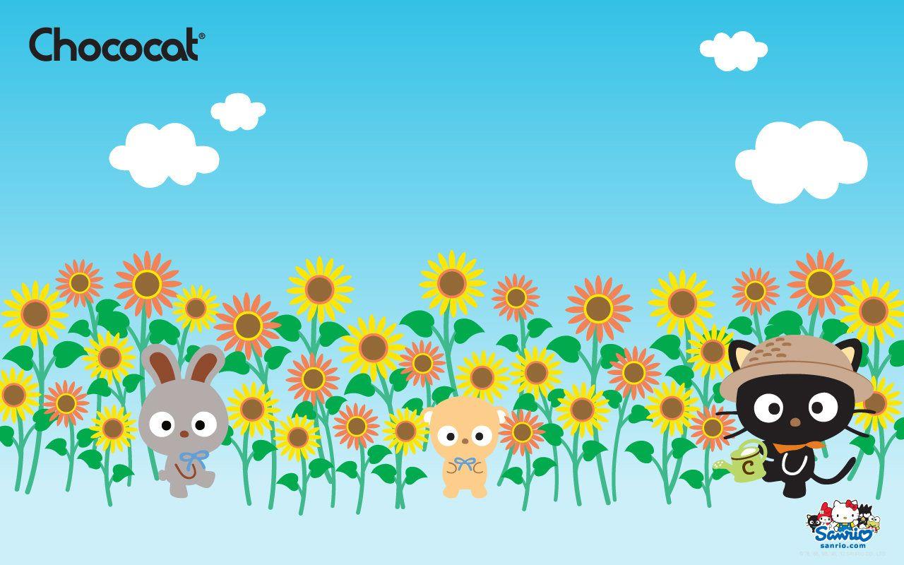 Chococat Wallpapers - Top Free Chococat Backgrounds - WallpaperAccess