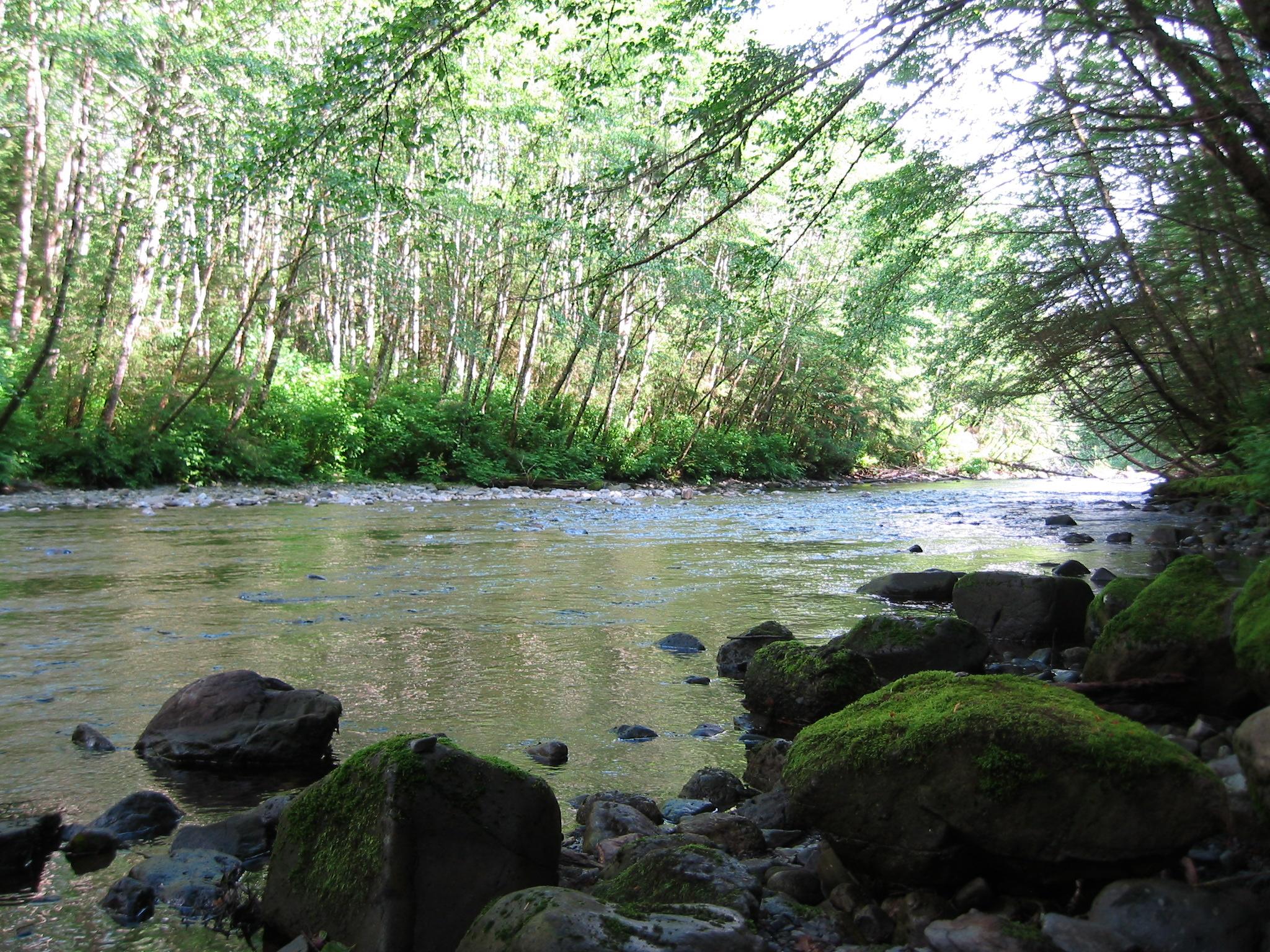 Indian River Wallpapers - Top Free Indian River Backgrounds ...