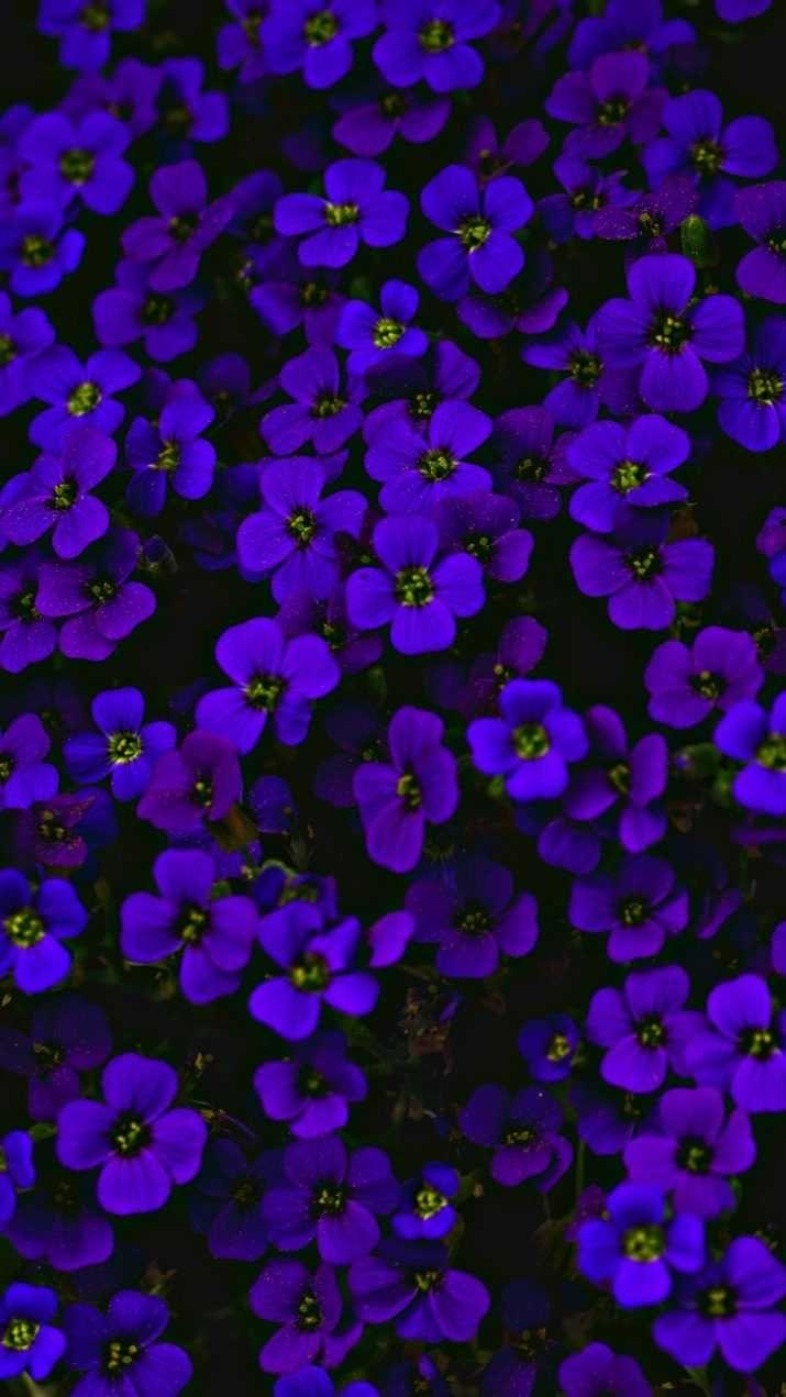 Dioxazine Wallpapers - Top Free Dioxazine Backgrounds - WallpaperAccess