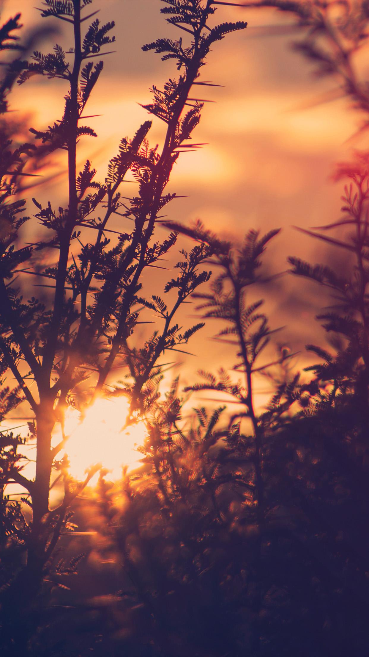 Light Flare Wallpapers - Top Free Light Flare Backgrounds - WallpaperAccess