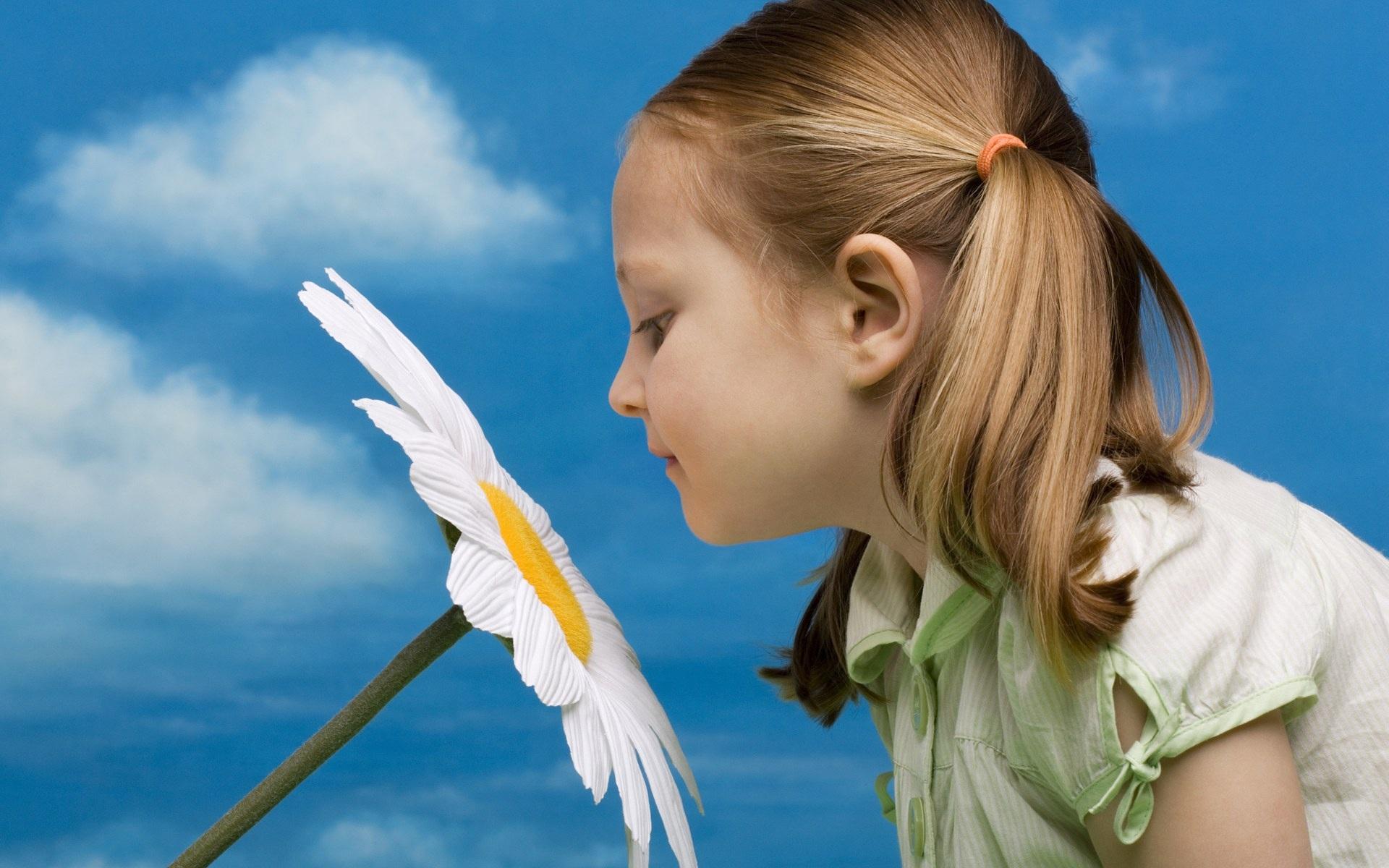 Smell Wallpapers - Top Free Smell Backgrounds - WallpaperAccess