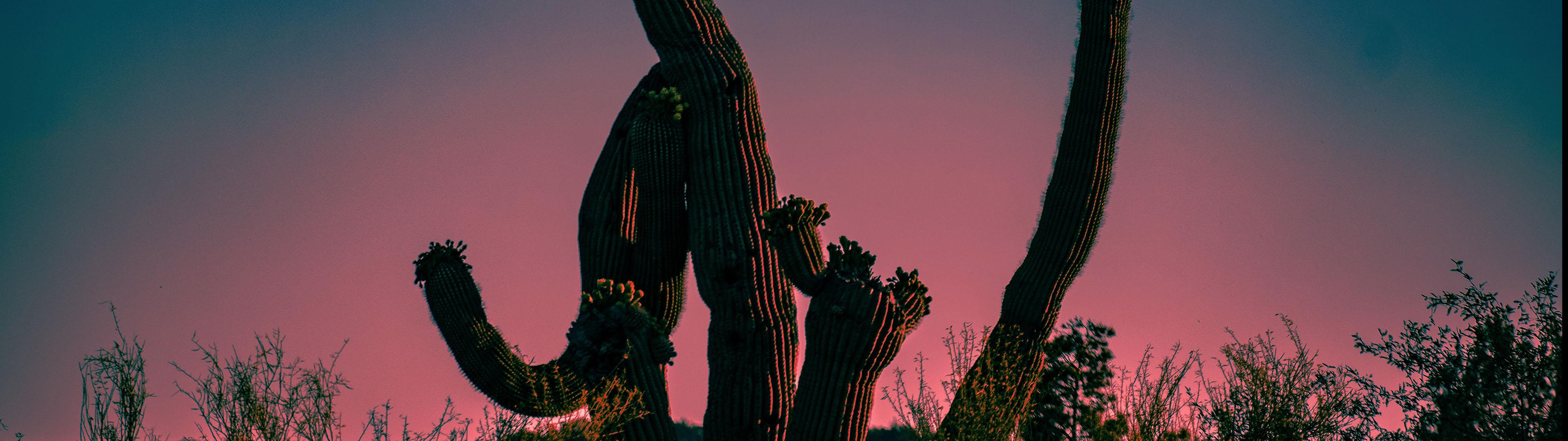 Cactus Jack PC Wallpapers - Top Free Cactus Jack PC Backgrounds ...