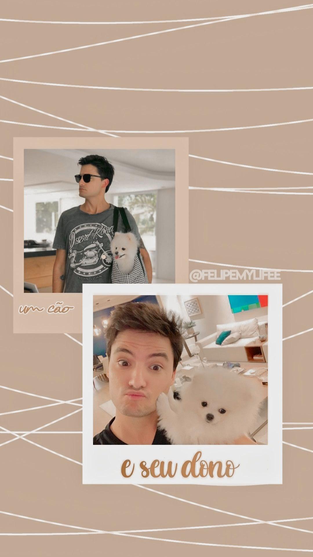 Felipe Neto Wallpapers - Top Free Felipe Neto Backgrounds - WallpaperAccess