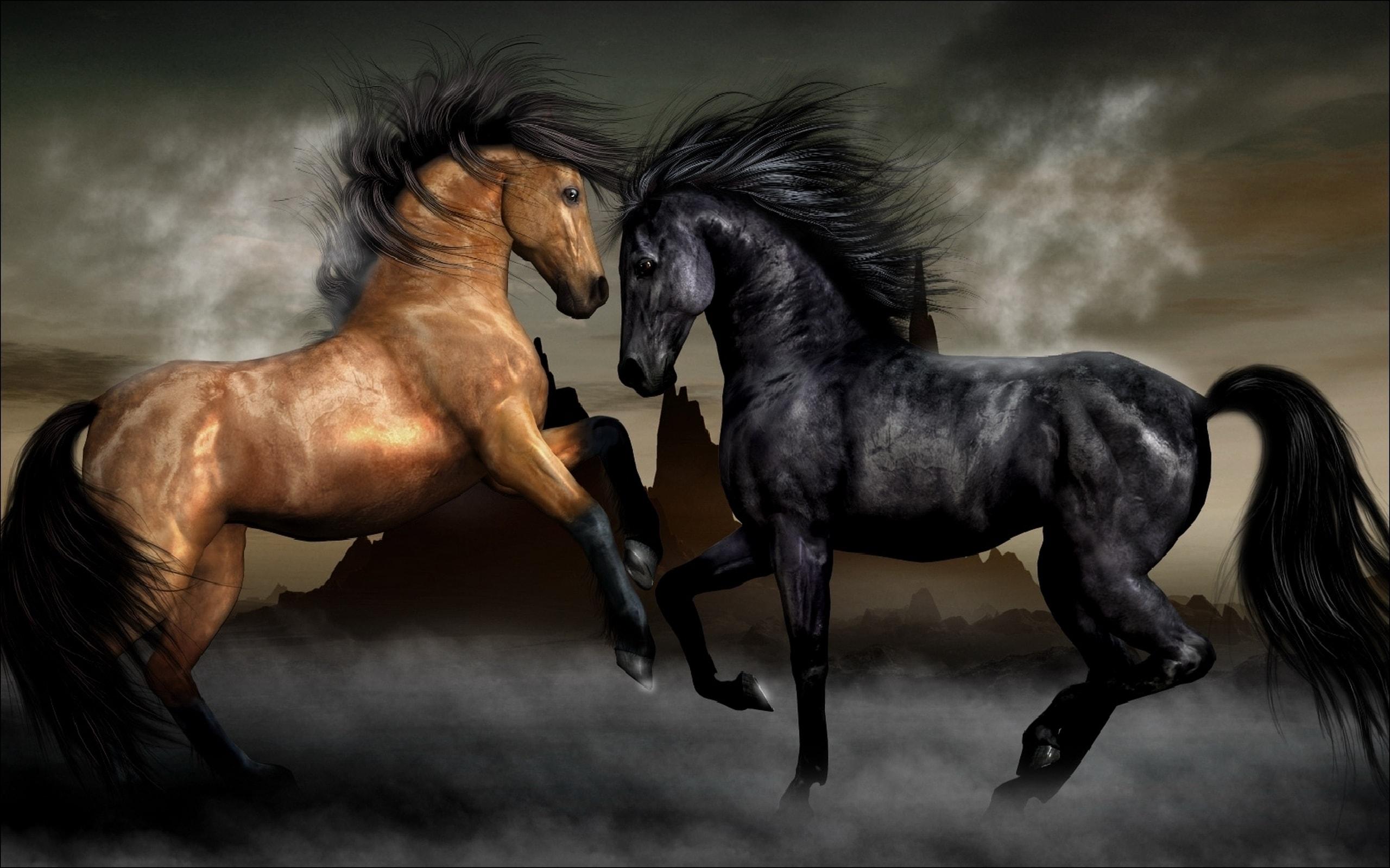 Long Horse Wallpapers - Top Free Long Horse Backgrounds - WallpaperAccess