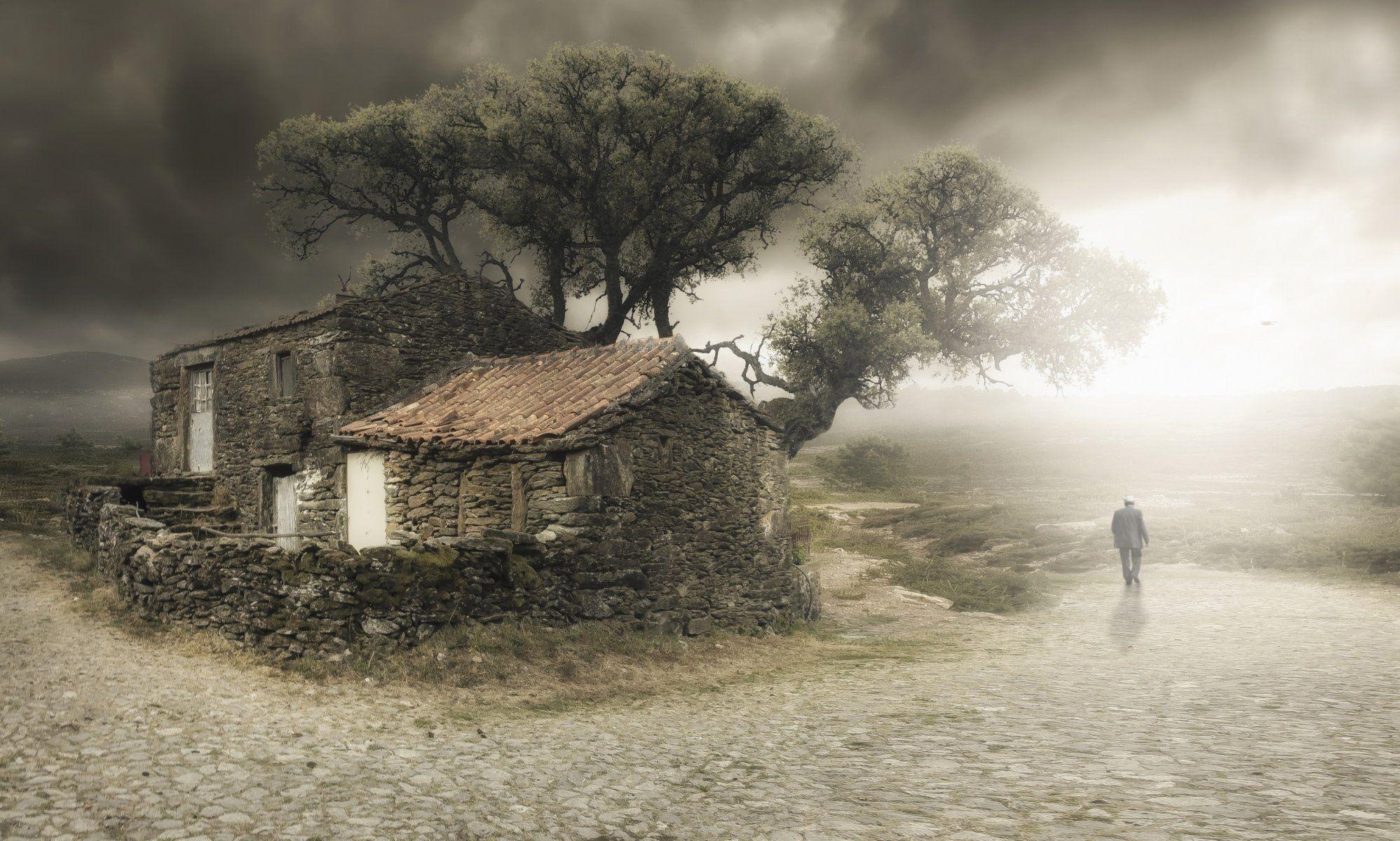 Tree Man Wallpapers - Top Free Tree Man Backgrounds - WallpaperAccess