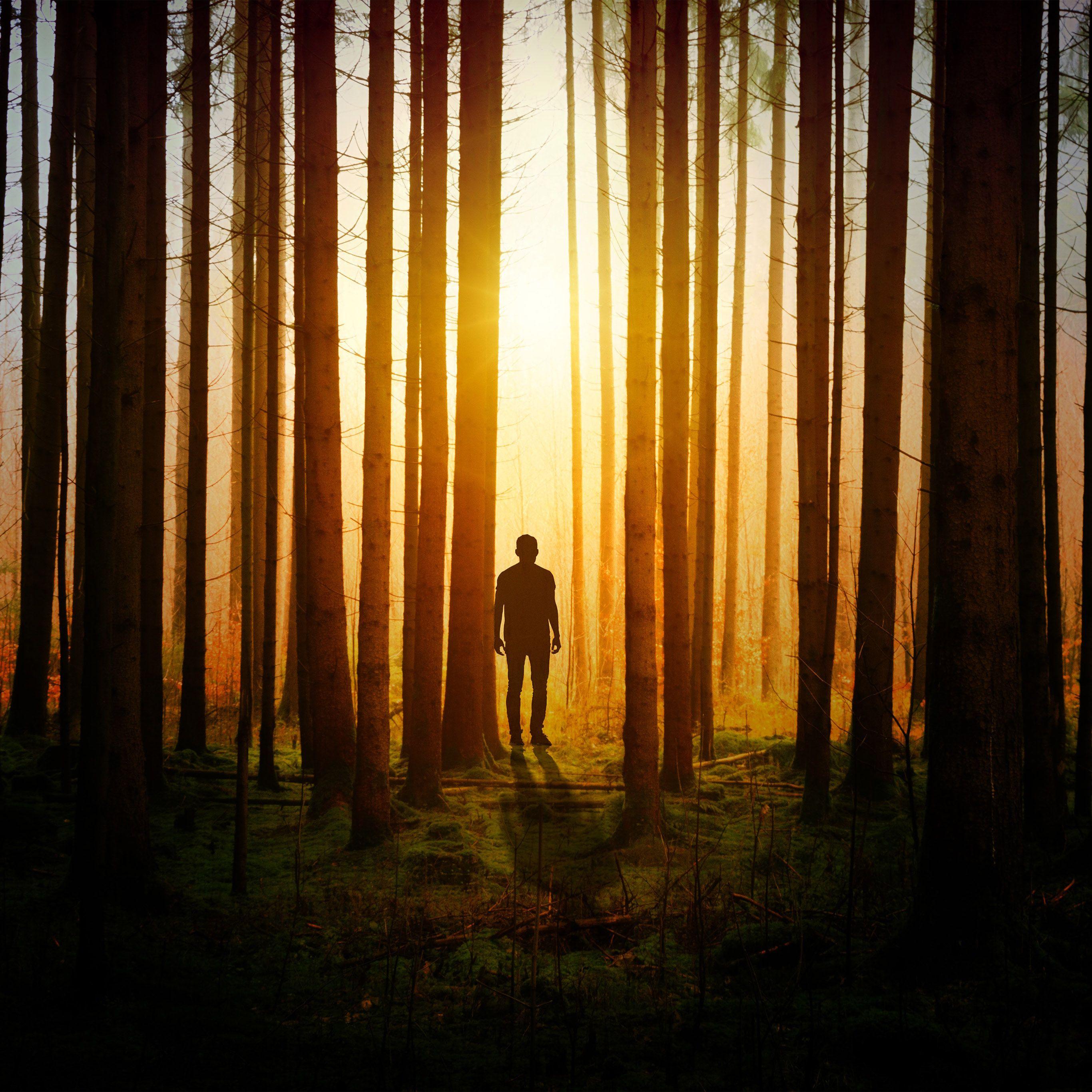 Tree Man Wallpapers - Top Free Tree Man Backgrounds - WallpaperAccess