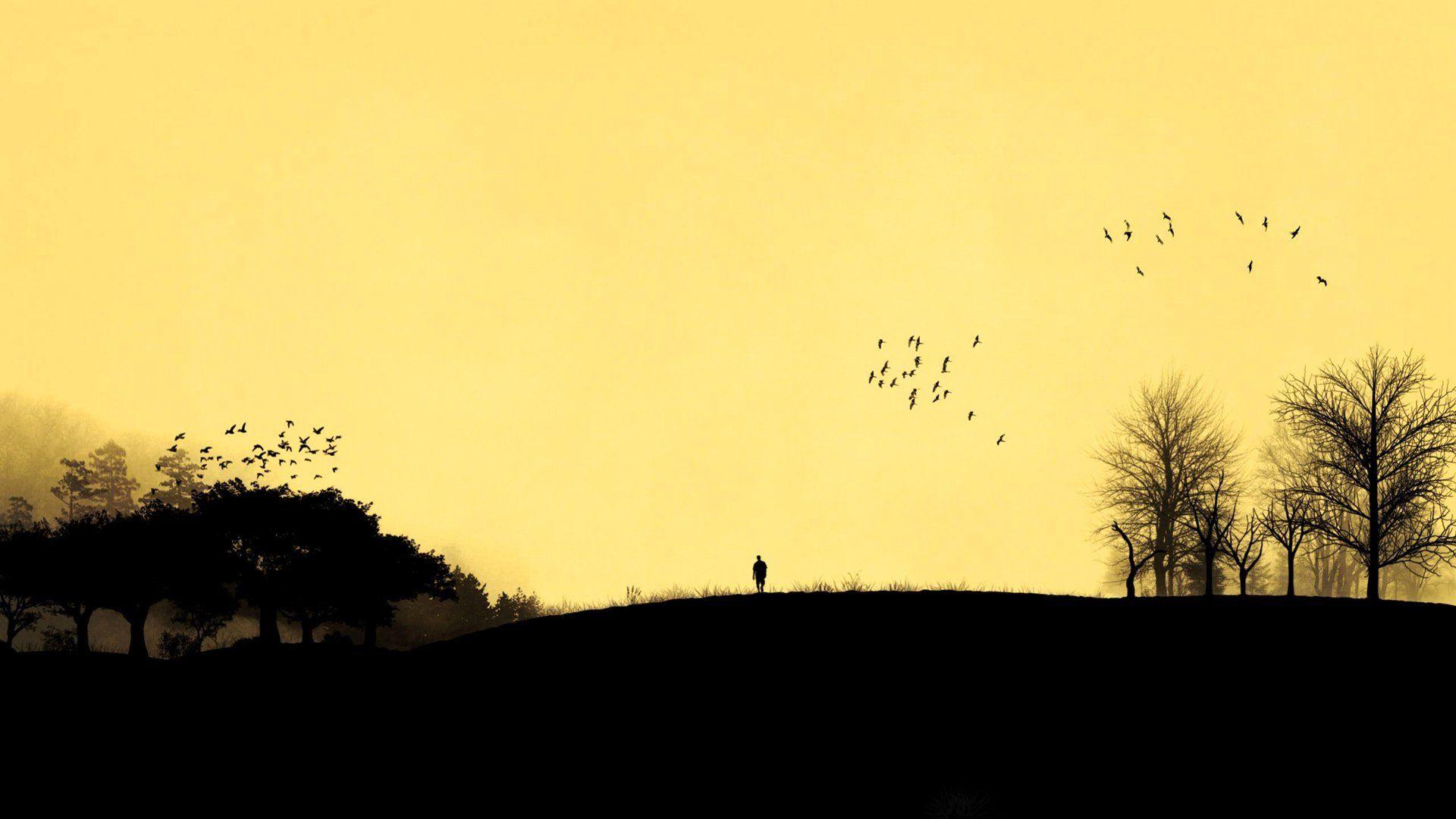 Tree Man Wallpapers - Top Free Tree Man Backgrounds - WallpaperAccess