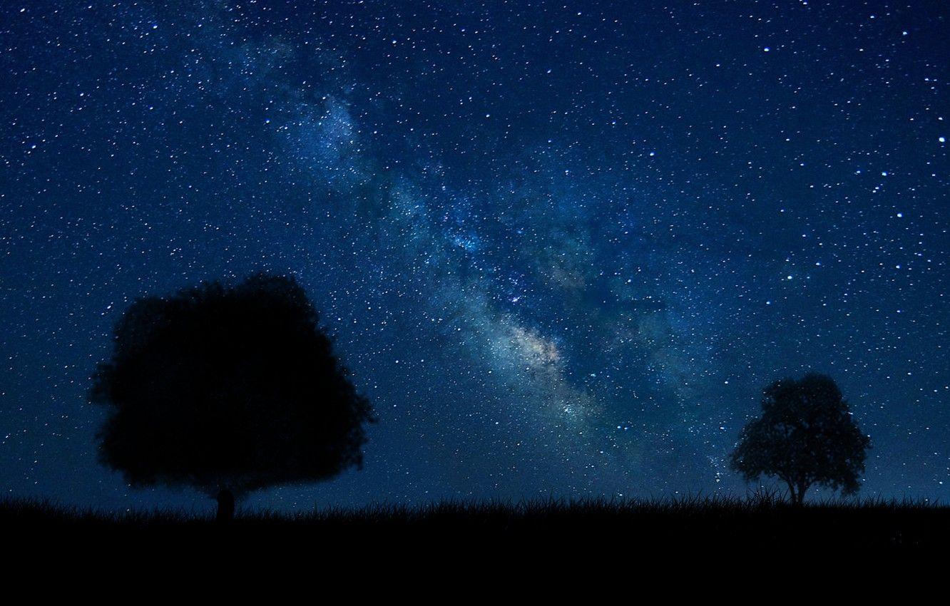 Tree Man Wallpapers - Top Free Tree Man Backgrounds - WallpaperAccess