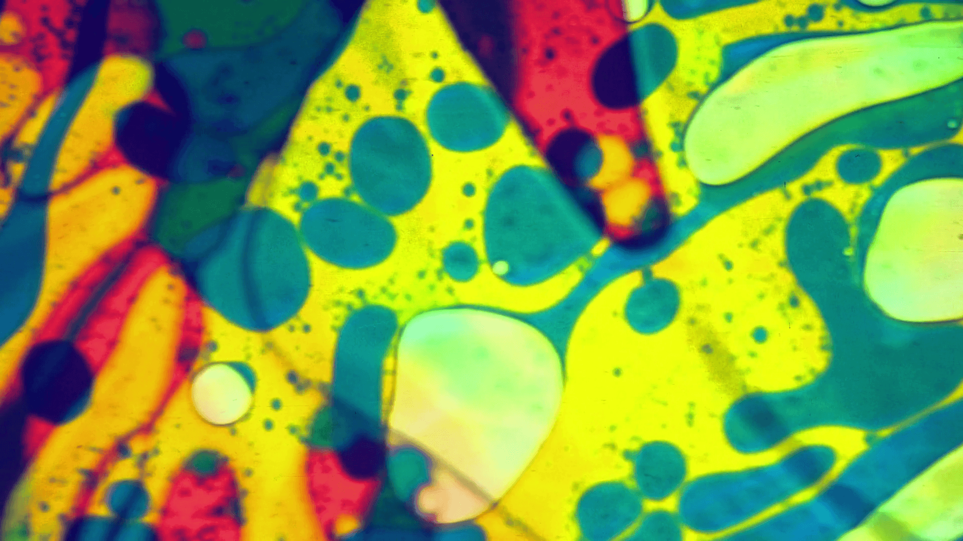 1960s Psychedelic Wallpapers - Top Free 1960s Psychedelic Backgrounds ...