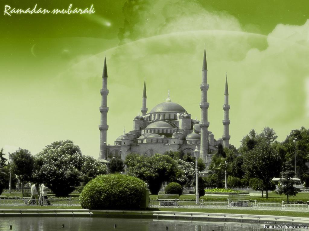 Lampung Wallpapers - Top Free Lampung Backgrounds - WallpaperAccess