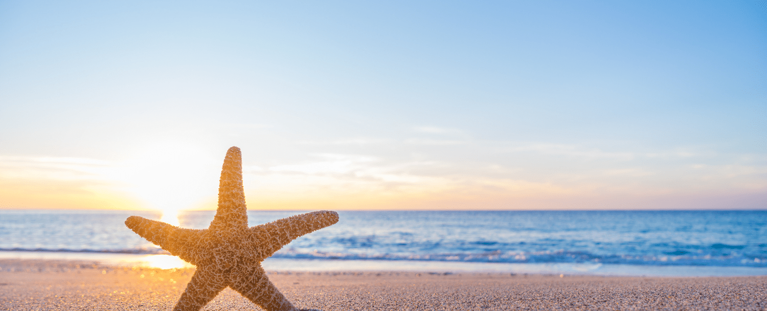 Gulf Shores Wallpapers - Top Free Gulf Shores Backgrounds - WallpaperAccess