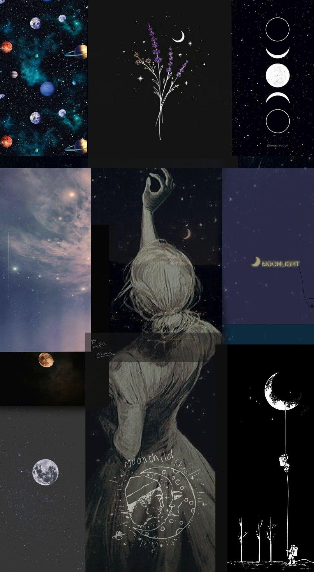 Selenophile Wallpapers - Top Free Selenophile Backgrounds - WallpaperAccess