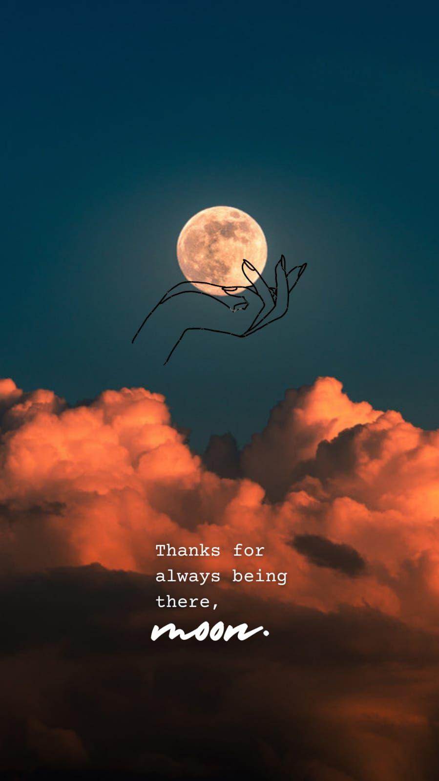 Selenophile Wallpapers - Top Free Selenophile Backgrounds - WallpaperAccess