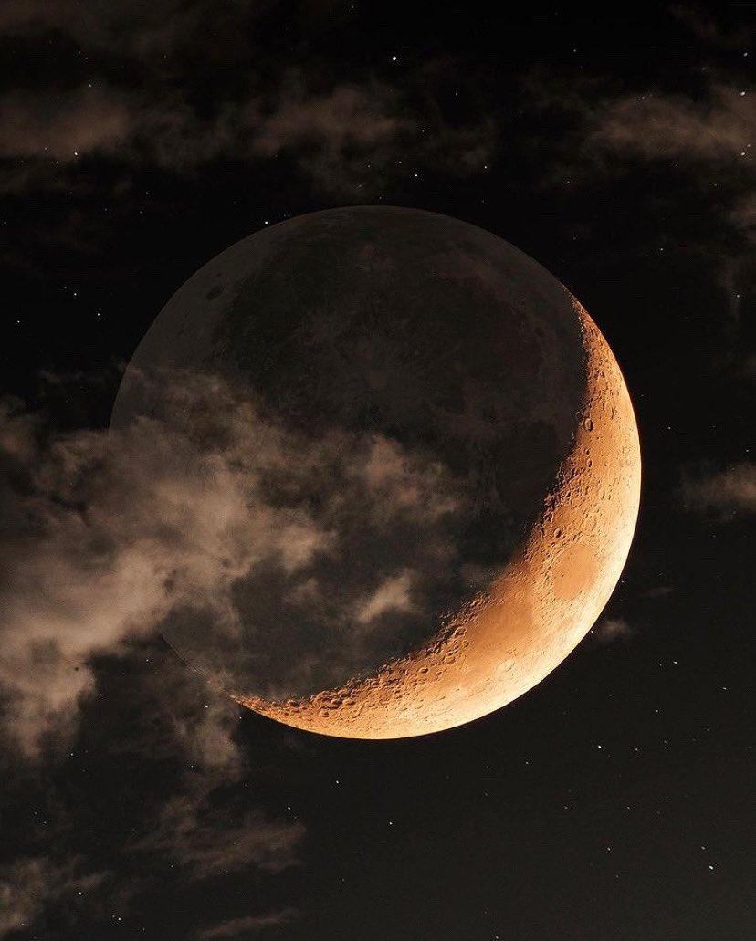 Selenophile Wallpapers - Top Free Selenophile Backgrounds - WallpaperAccess