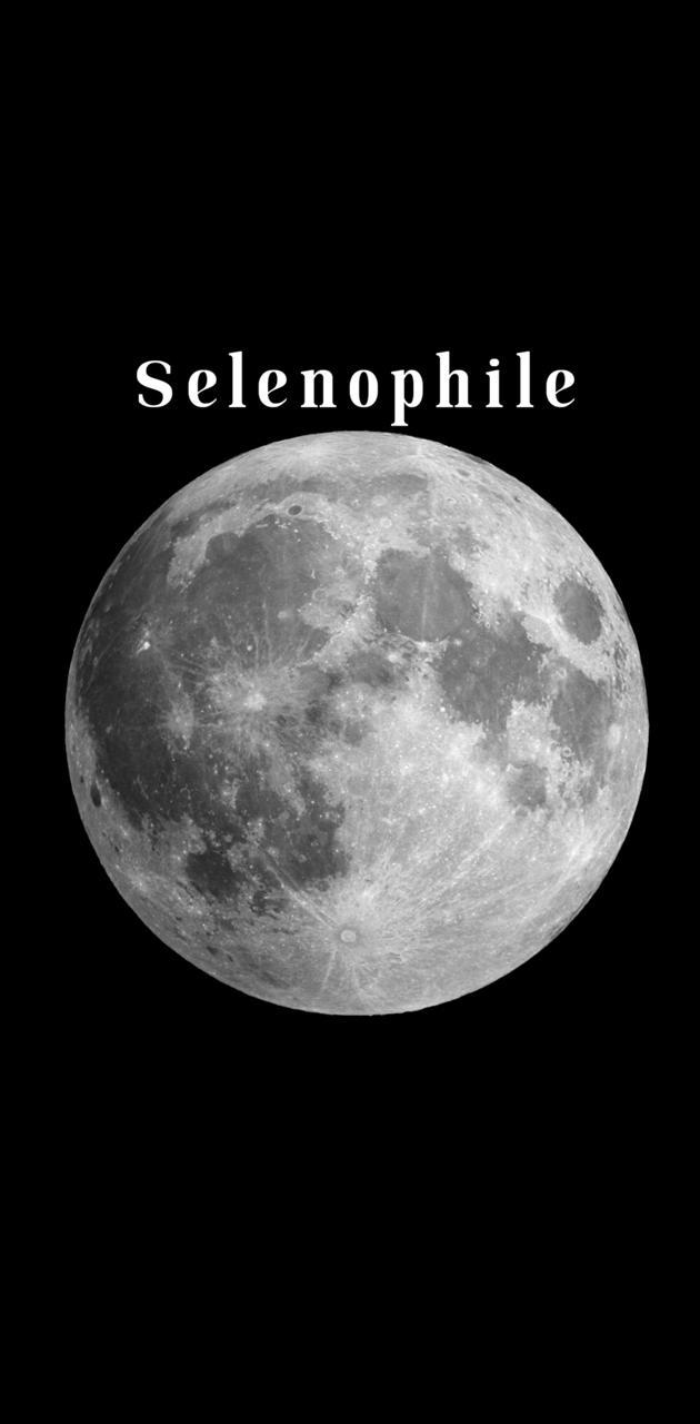 Selenophile Wallpapers - Top Free Selenophile Backgrounds - WallpaperAccess