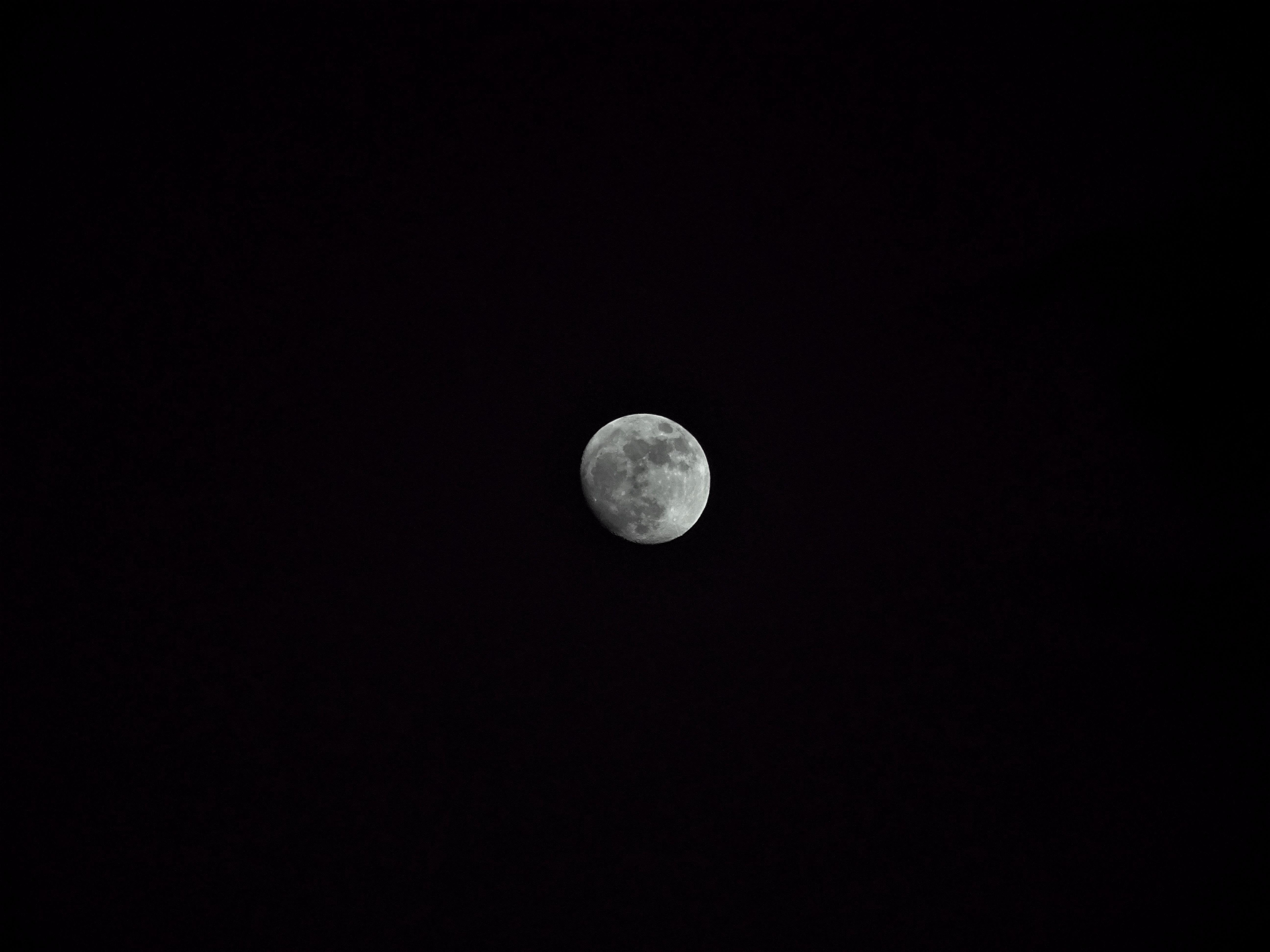 Selenophile Wallpapers - Top Free Selenophile Backgrounds - WallpaperAccess