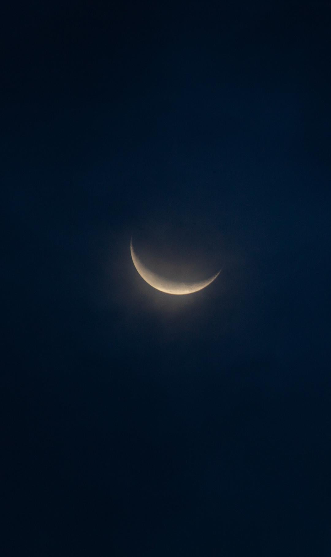 Selenophile Wallpapers - Top Free Selenophile Backgrounds - WallpaperAccess