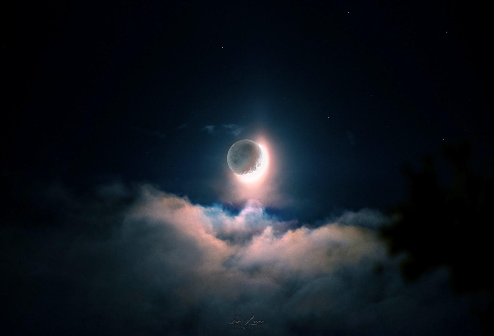 Selenophile Wallpapers - Top Free Selenophile Backgrounds - WallpaperAccess