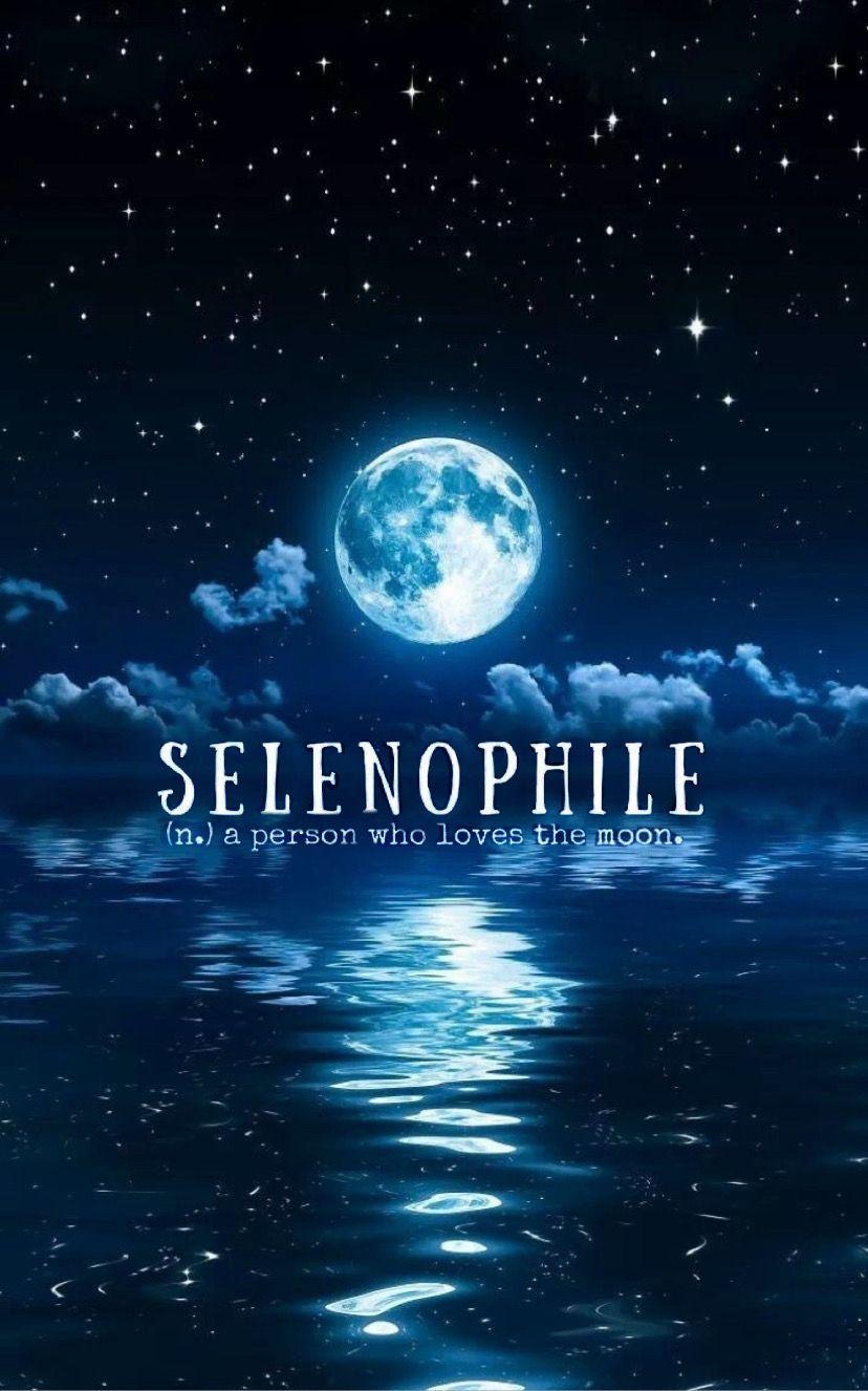 Selenophile Wallpapers - Top Free Selenophile Backgrounds - WallpaperAccess