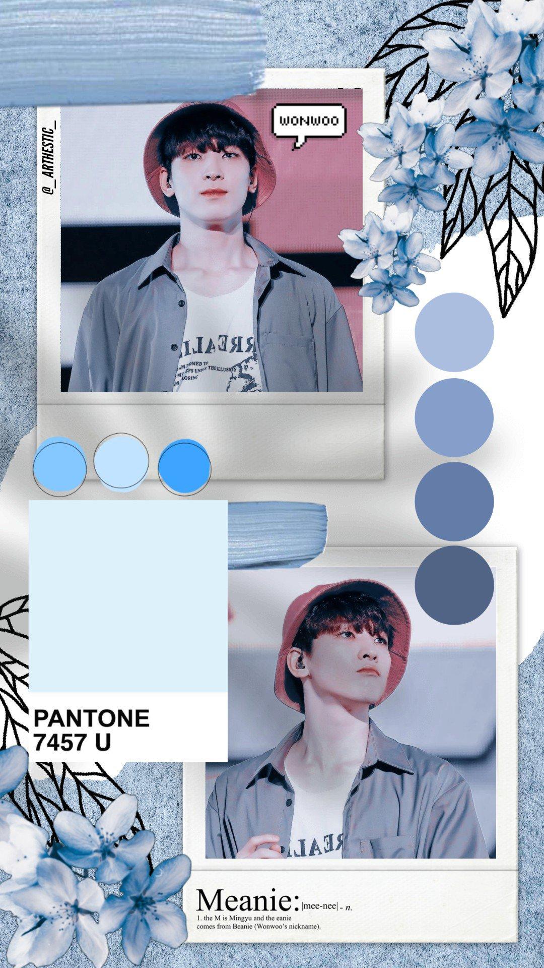 Wonwoo Seventeen Wallpapers - Top Free Wonwoo Seventeen Backgrounds ...