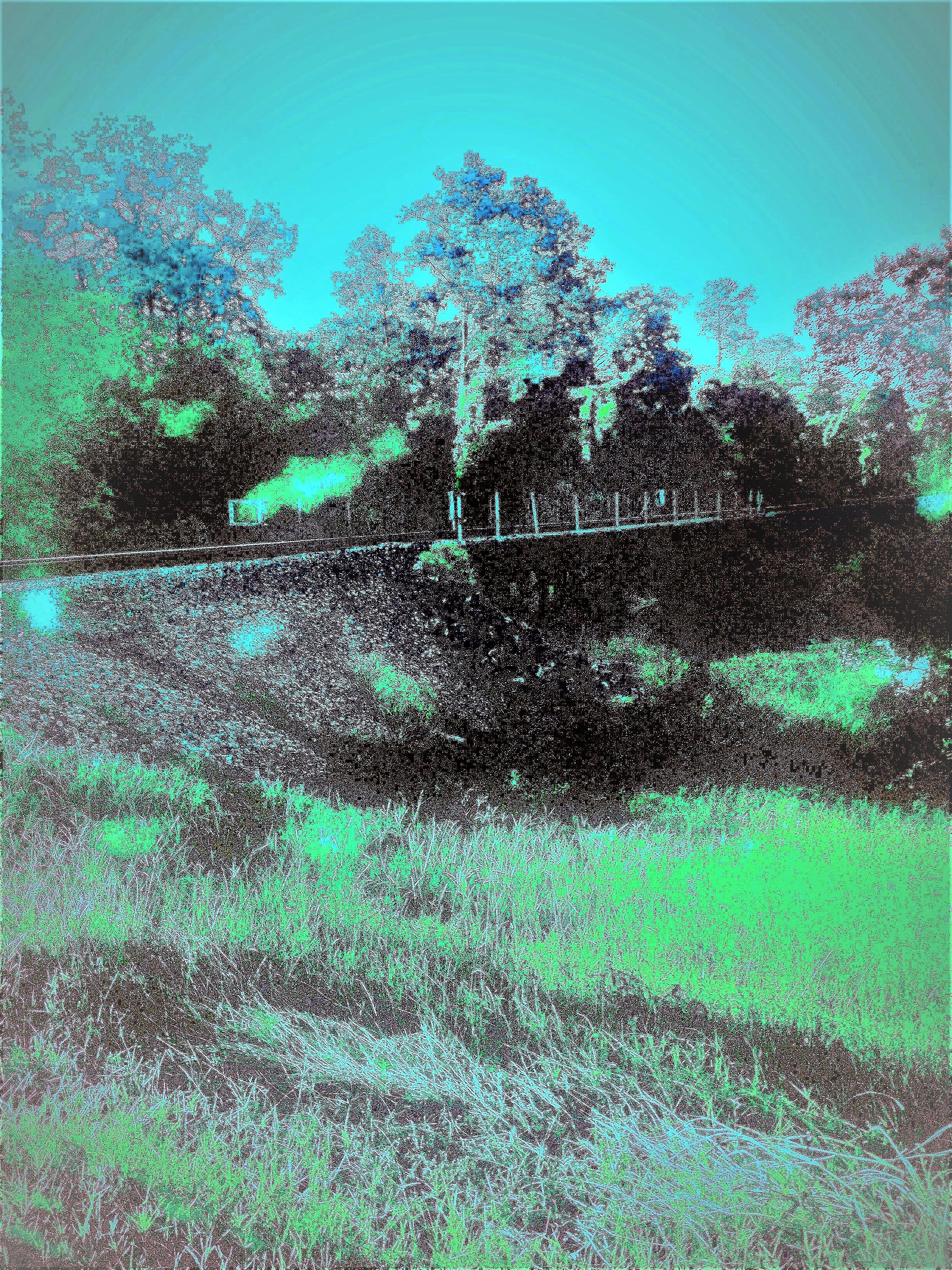 Lofi Green Wallpapers - Top Free Lofi Green Backgrounds - WallpaperAccess