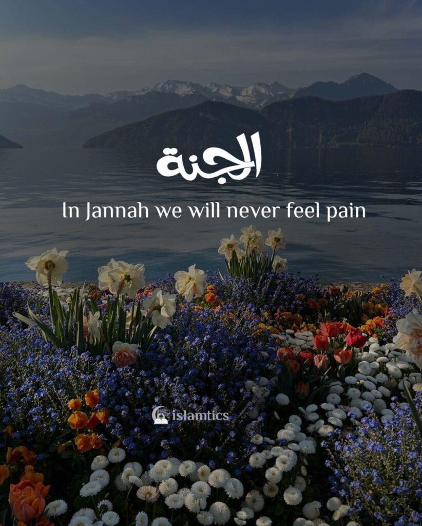 Jannah Wallpapers - Top Free Jannah Backgrounds - WallpaperAccess