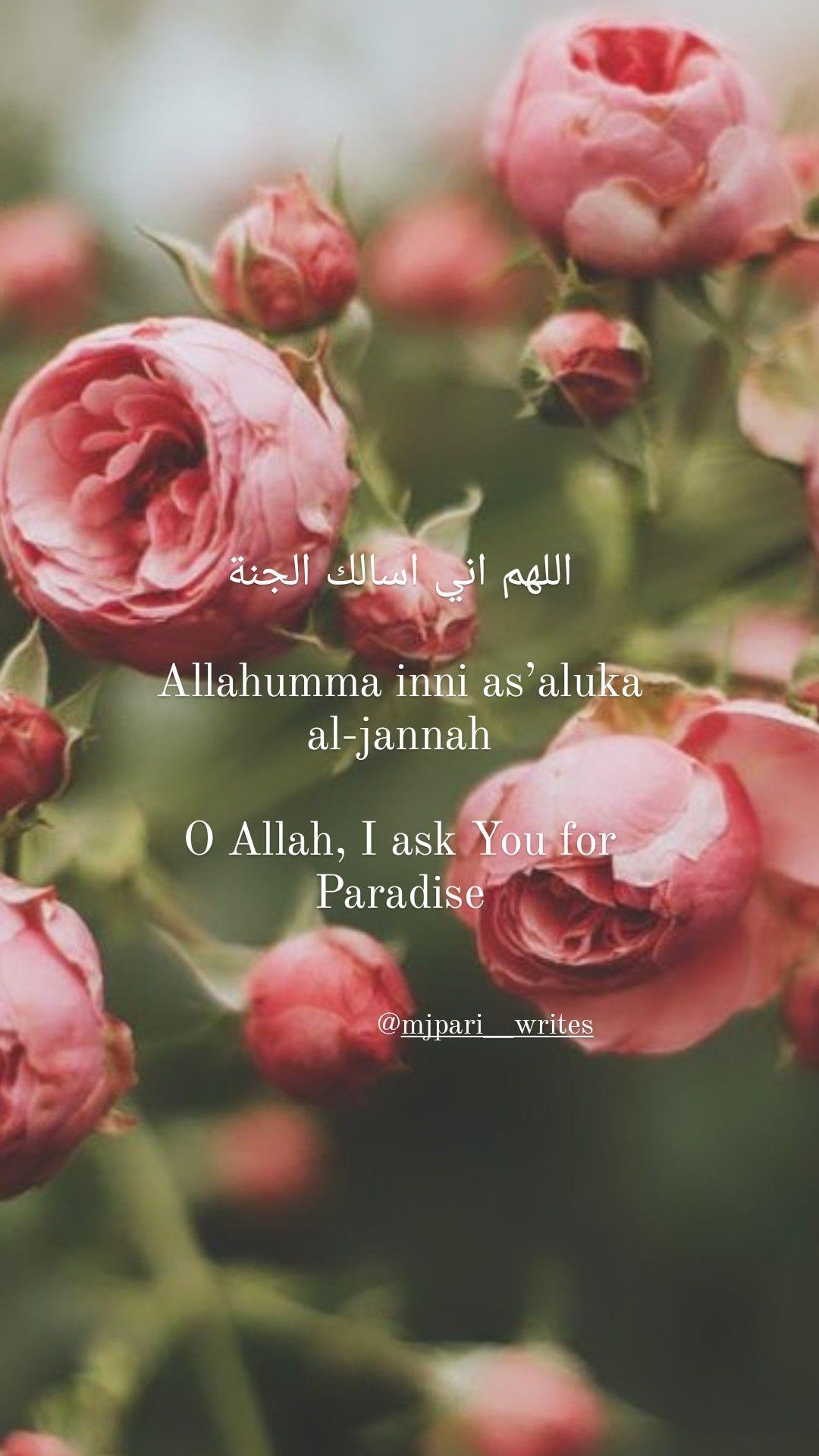 Jannah Wallpapers - Top Free Jannah Backgrounds - WallpaperAccess