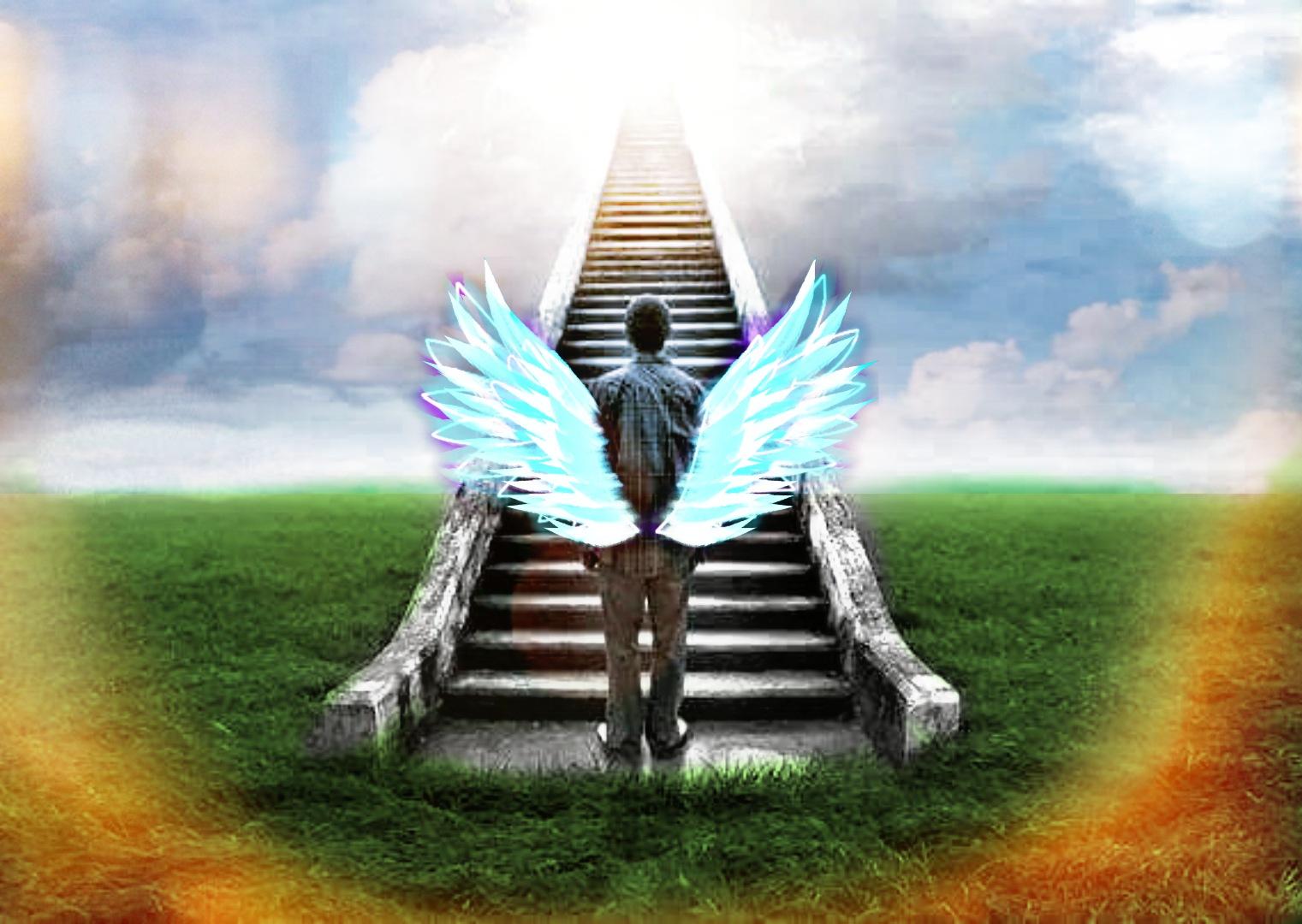 Jannah Wallpapers - Top Free Jannah Backgrounds - WallpaperAccess