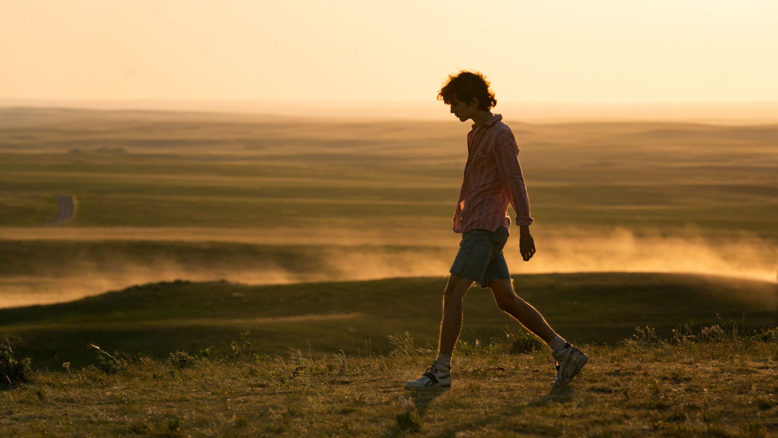 Bones and All Wallpapers - Top Free Bones and All Backgrounds ...