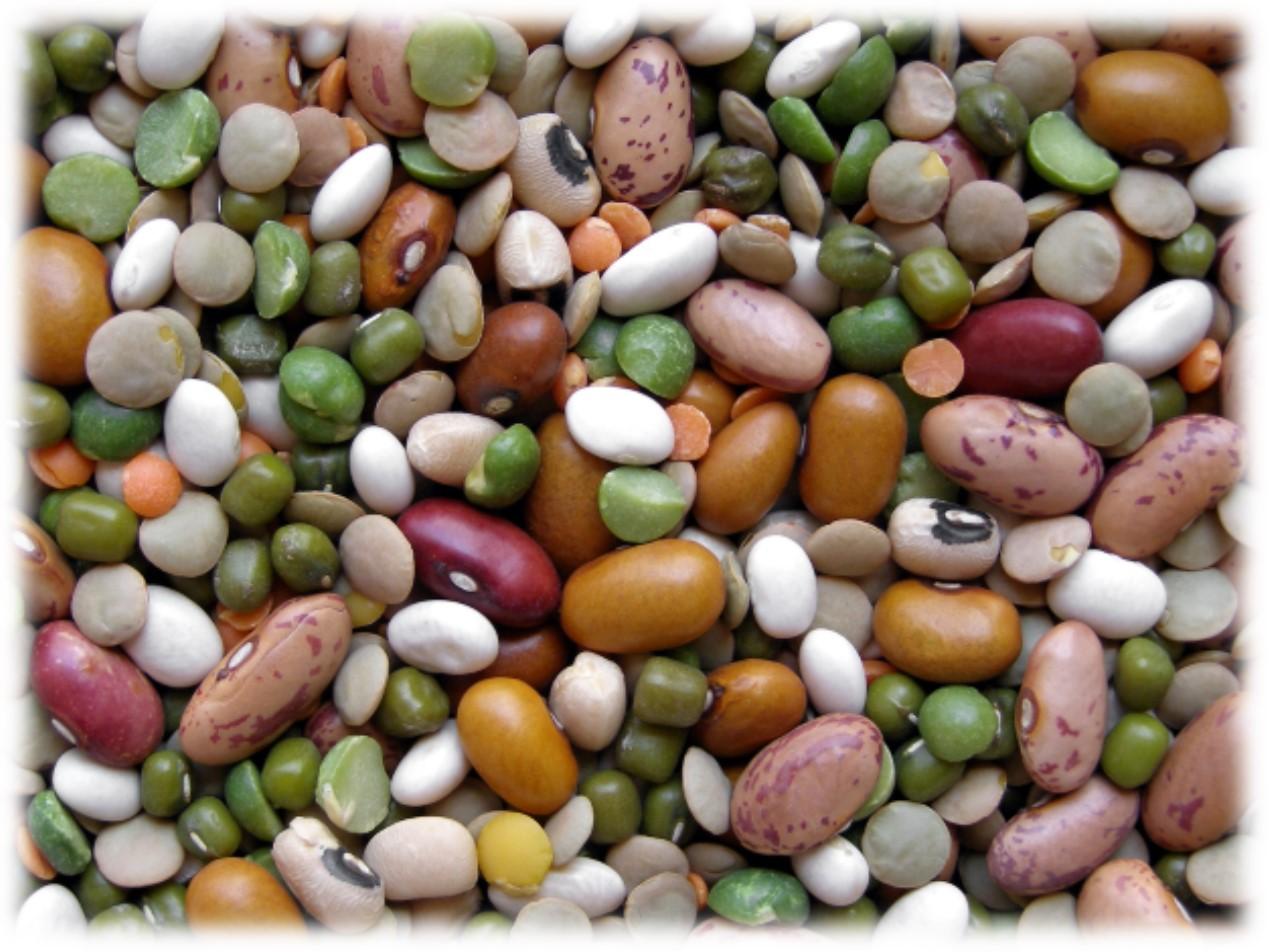 Calcium Wallpapers - Top Free Calcium Backgrounds - WallpaperAccess